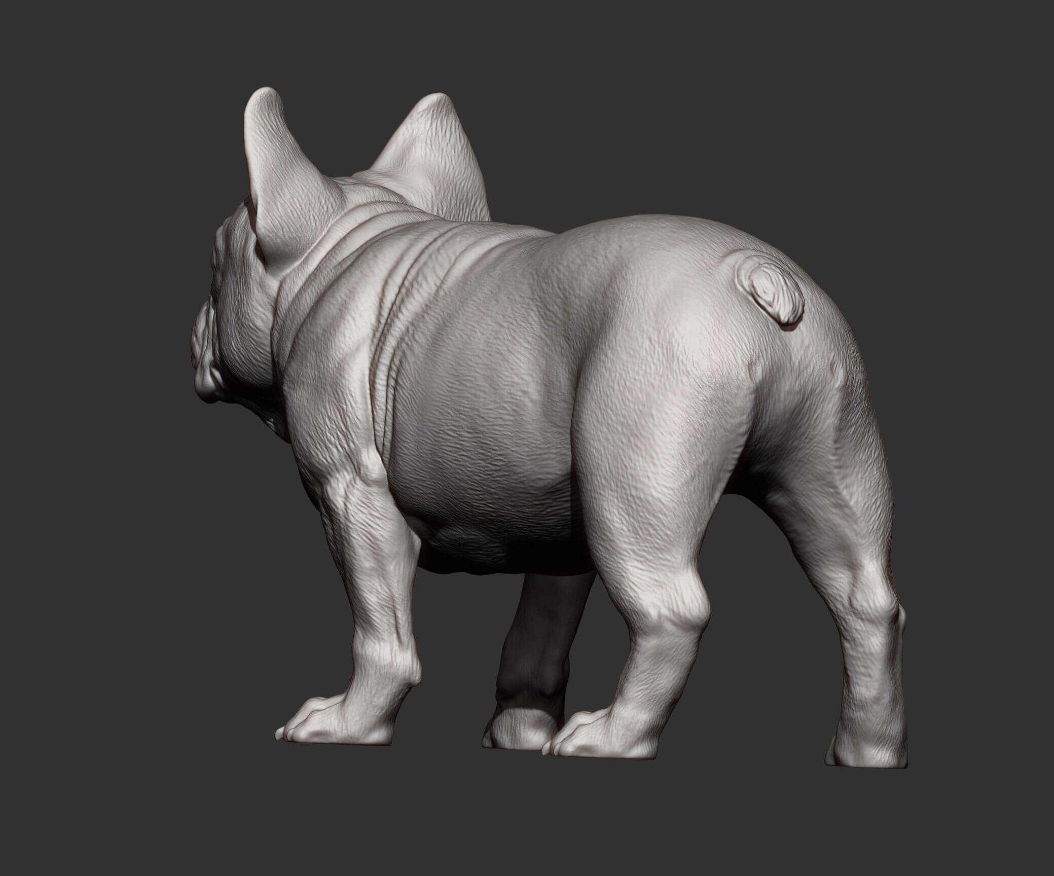 French Bulldog - 3D Model by Alexander3dart