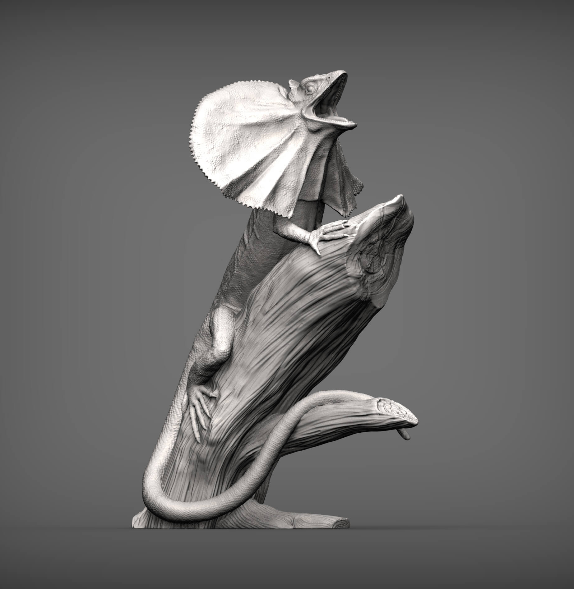 Frilled Lizard - 3D Model by Alexander3dart