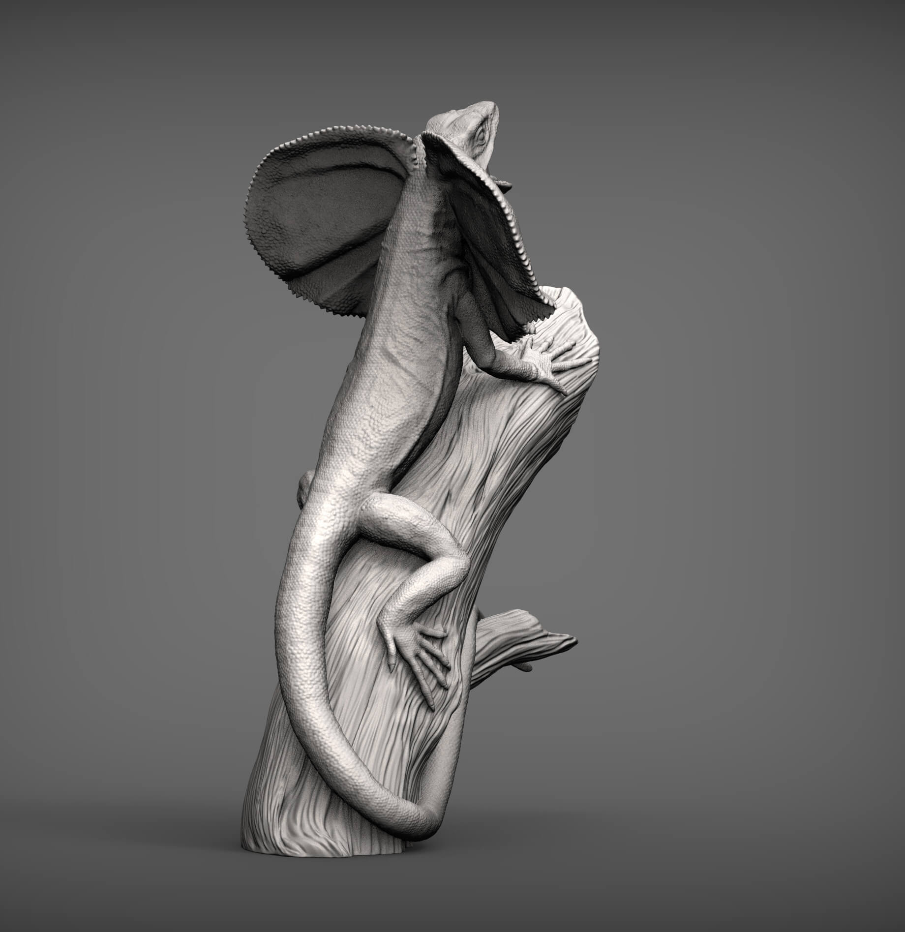 Frilled Lizard - 3D Model by Alexander3dart