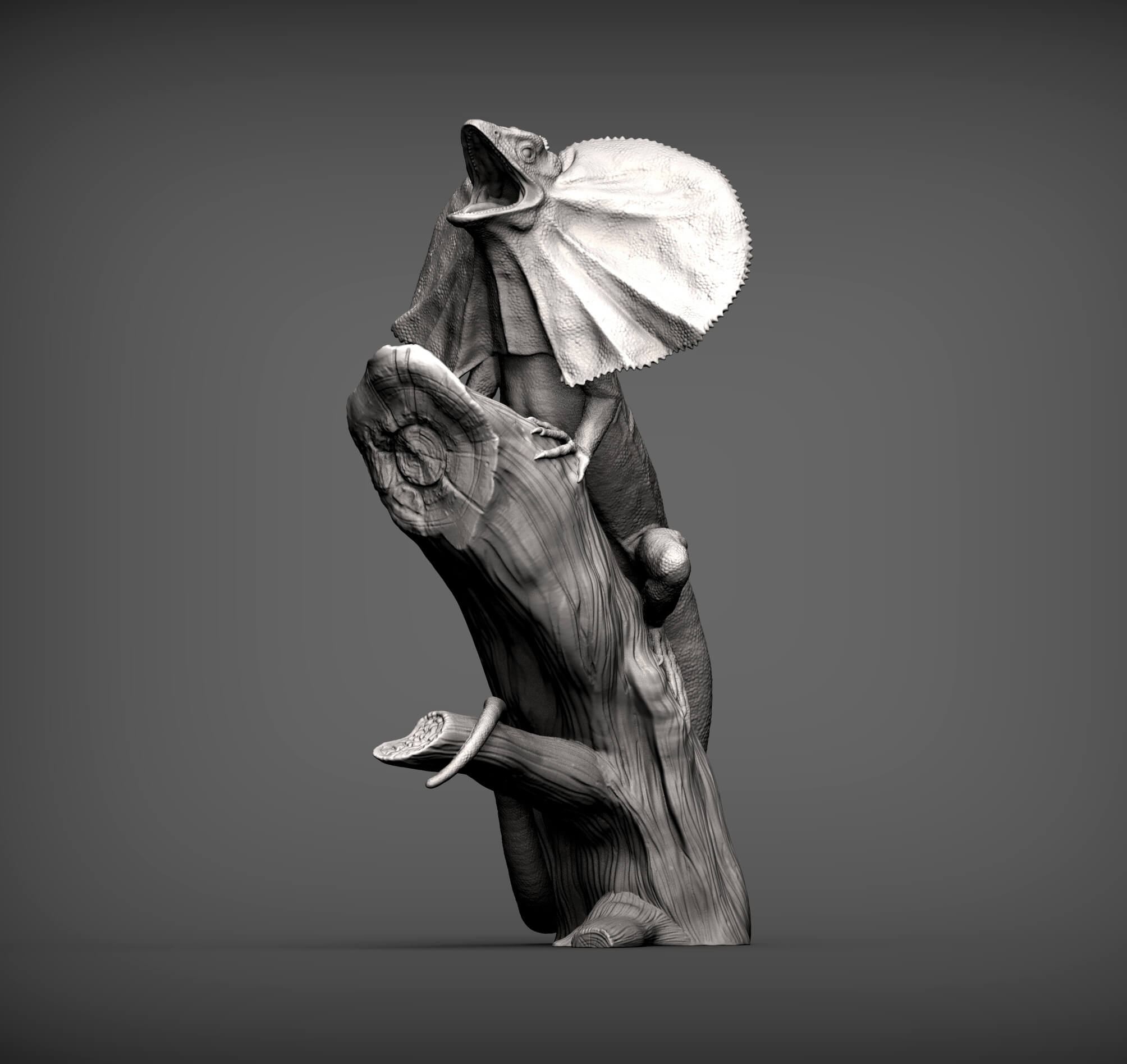 Frilled Lizard - 3D Model by Alexander3dart