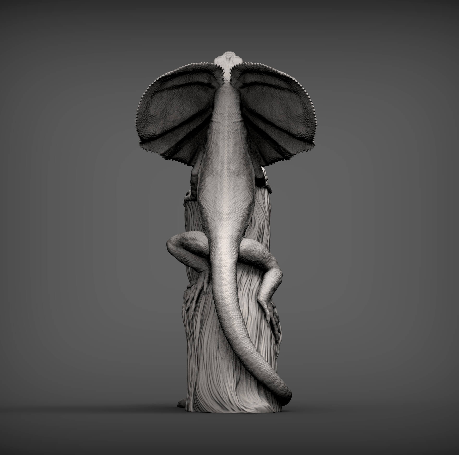 Frilled Lizard - 3D Model by Alexander3dart