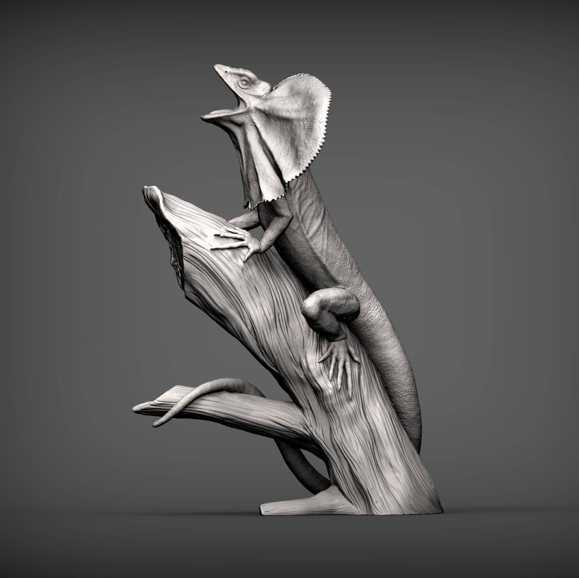 Frilled Lizard - 3D Model by Alexander3dart