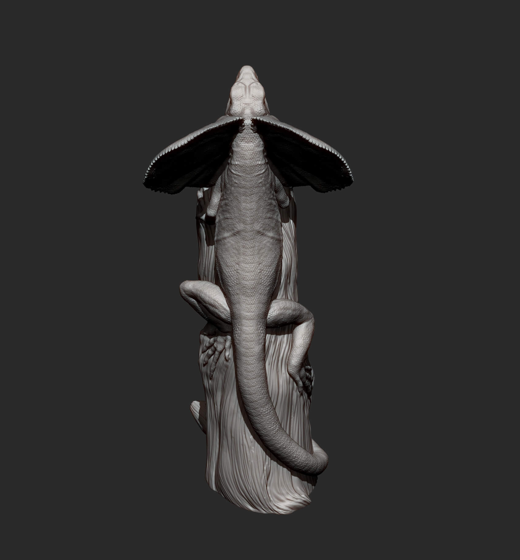 Frilled Lizard - 3D Model by Alexander3dart