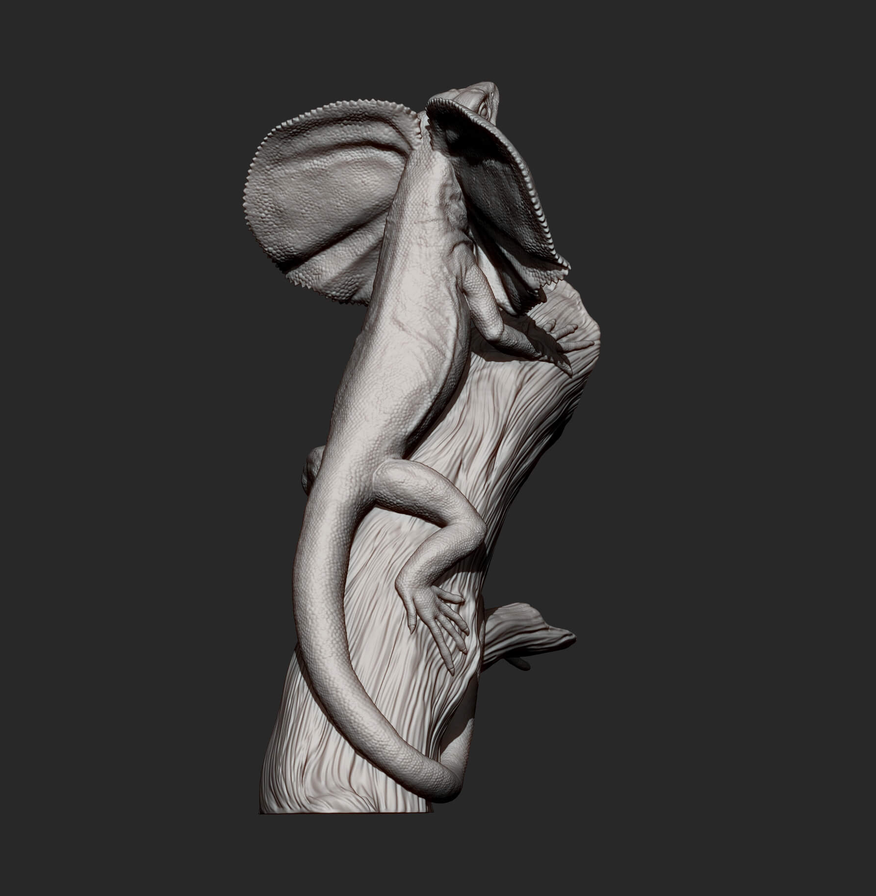 Frilled Lizard - 3D Model by Alexander3dart