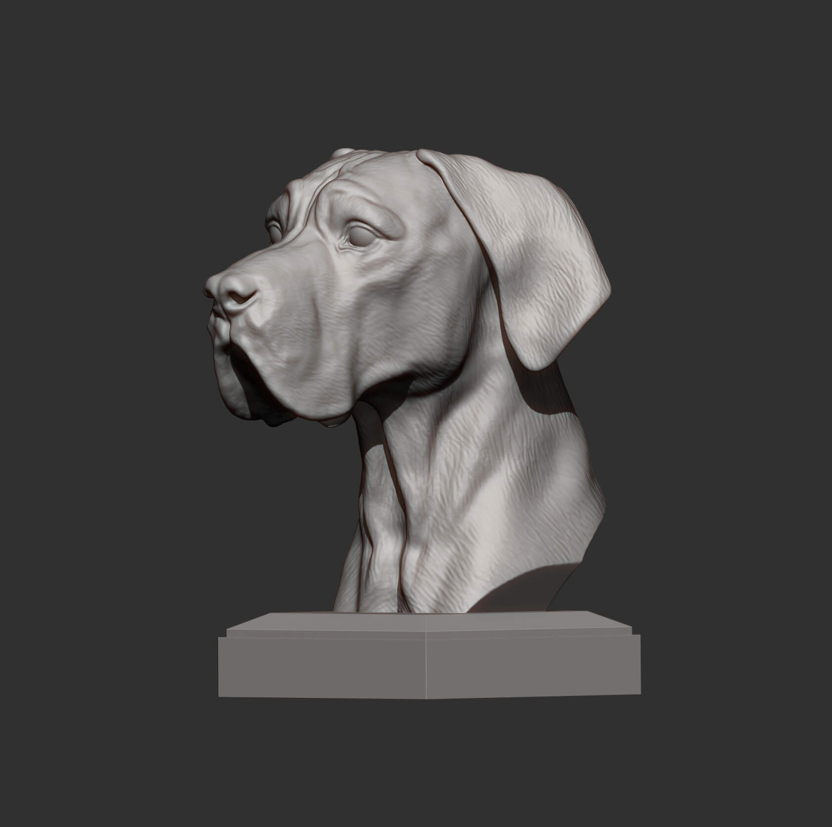 German Dog Bust - 3D Model by Alexander3dart