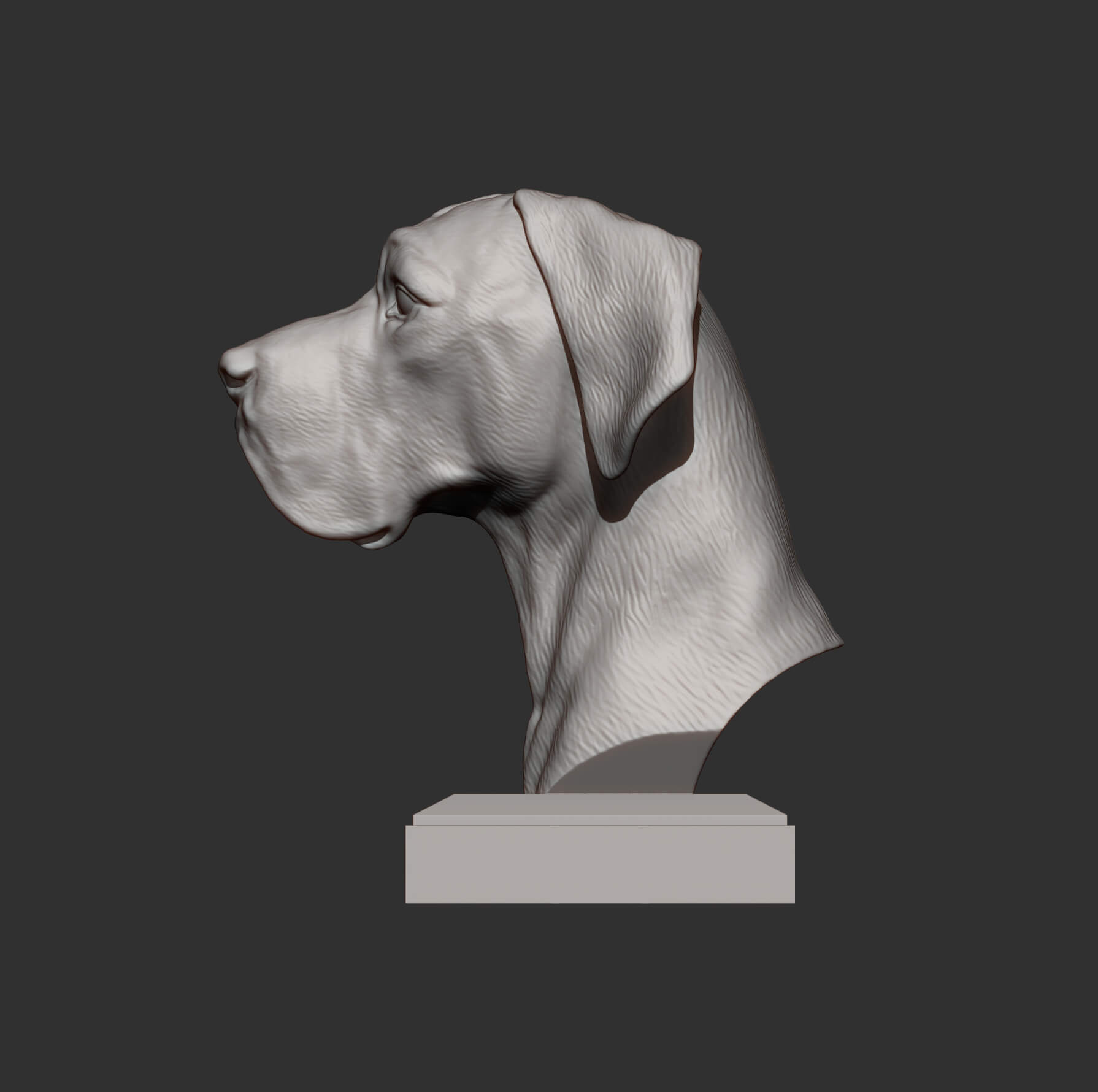 German Dog Bust - 3D Model by Alexander3dart