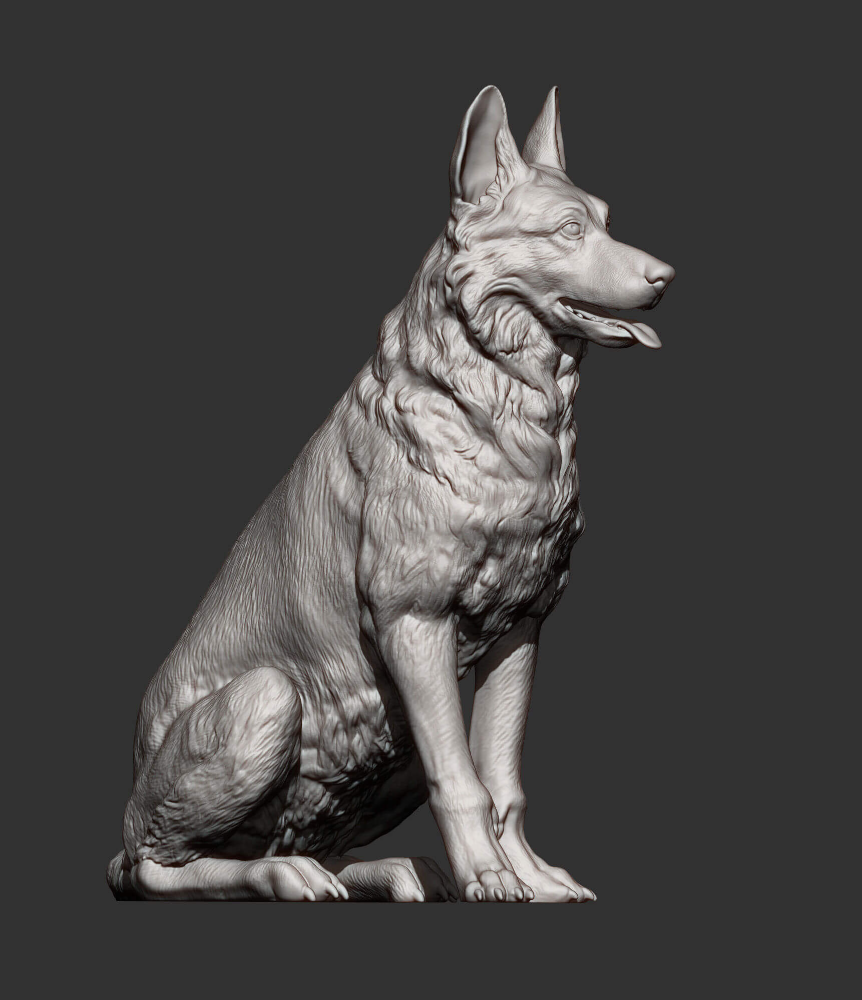 German Shepherd - 3D Model by Alexander3dart