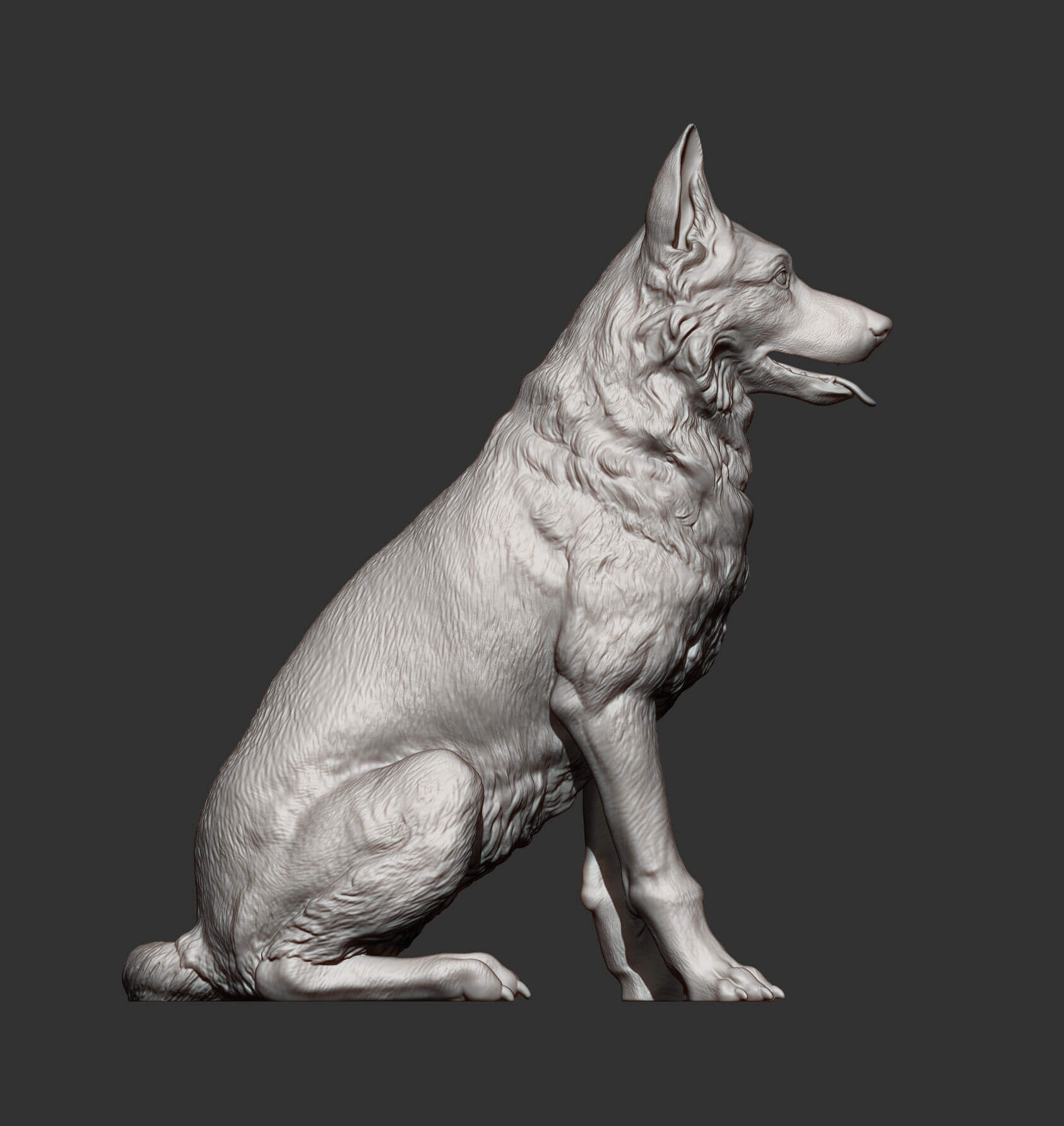 German Shepherd - 3D Model by Alexander3dart