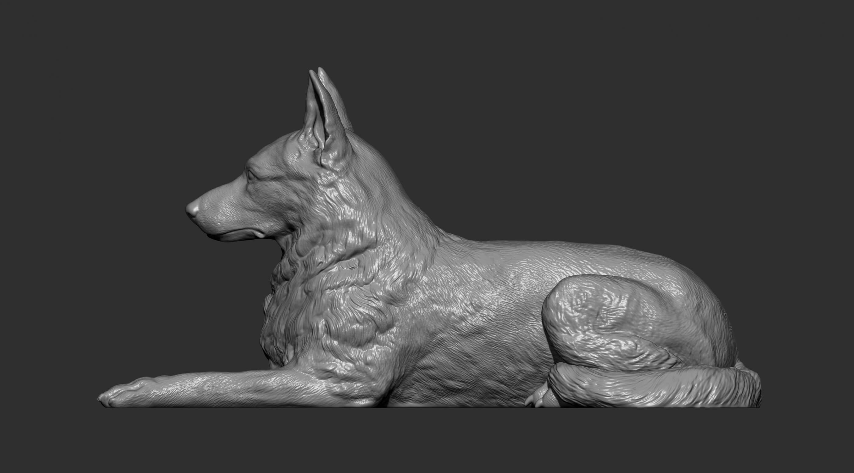German Shepherd 3D Print Model by Alexander3dart
