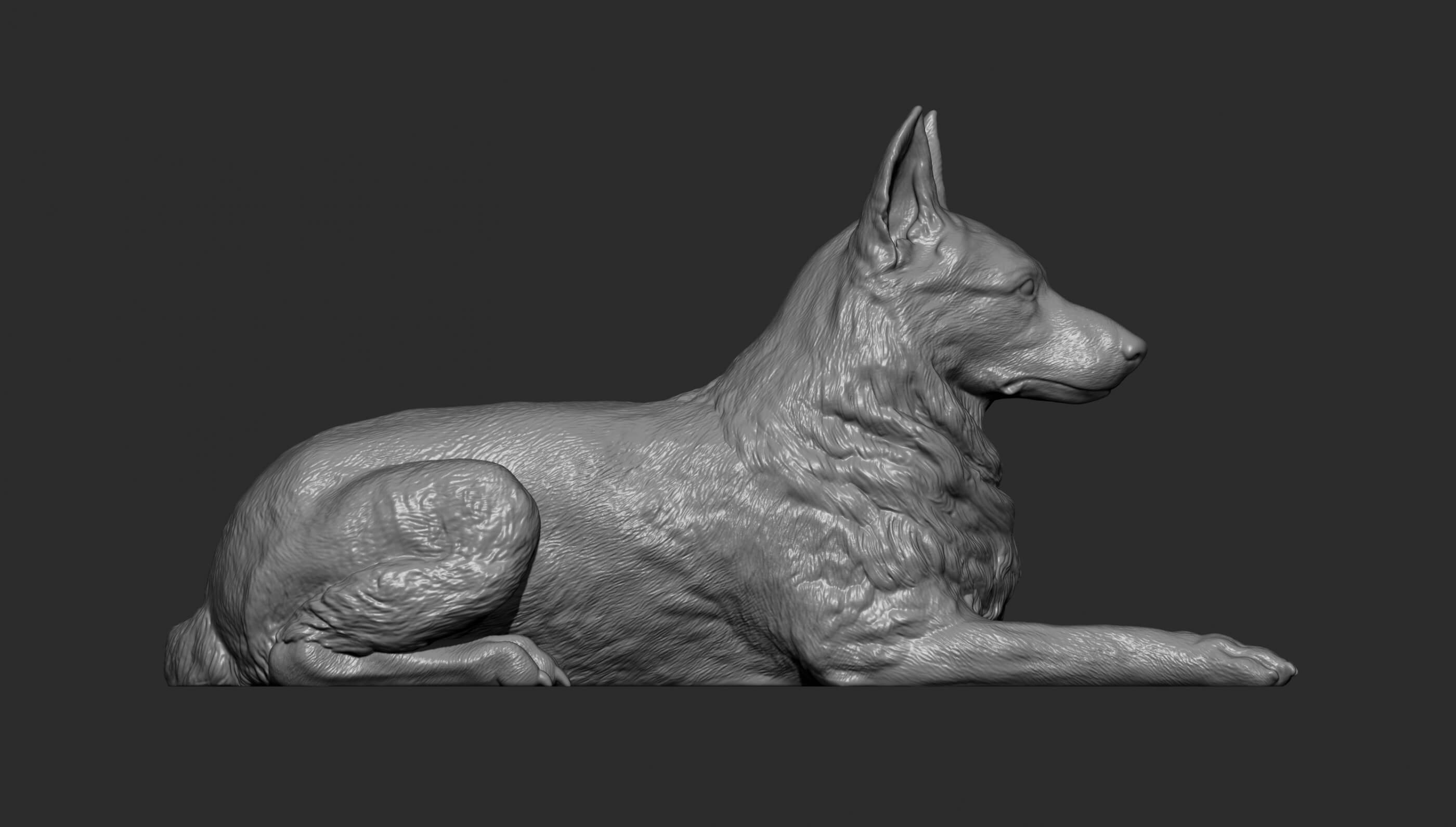German Shepherd 3D Print Model by Alexander3dart