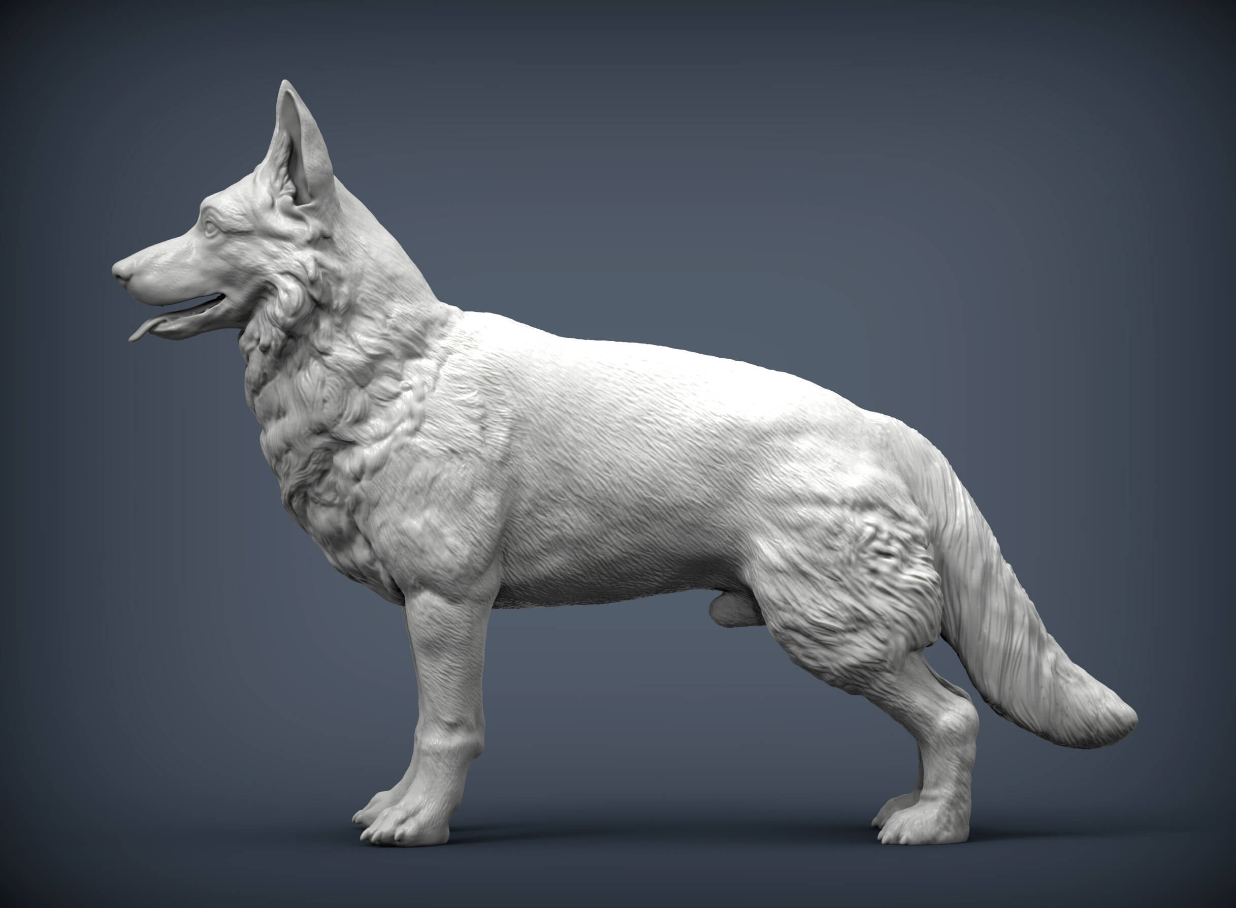 German Shepherd - 3D Model by Alexander3dart