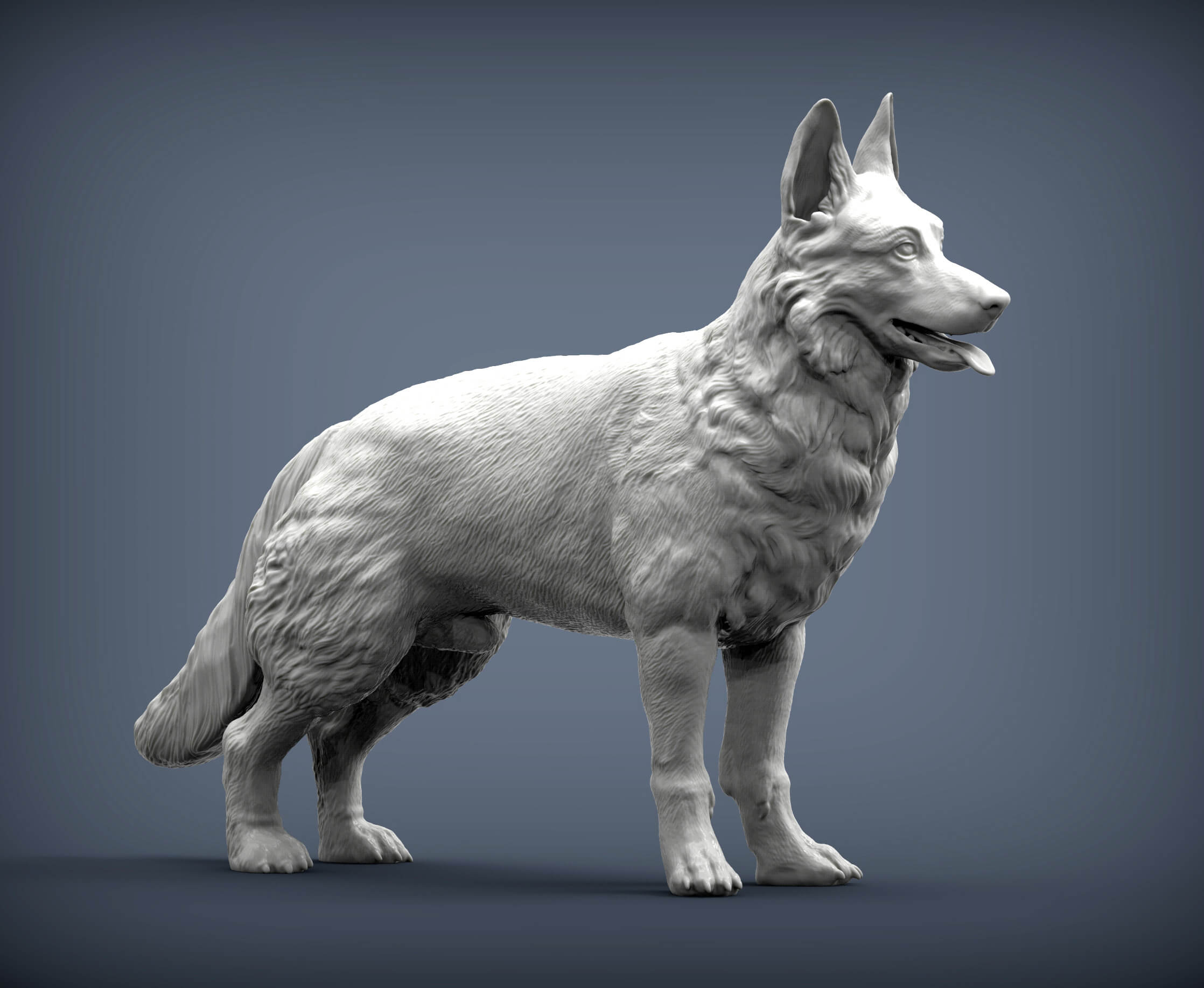 German Shepherd - 3D Model by Alexander3dart