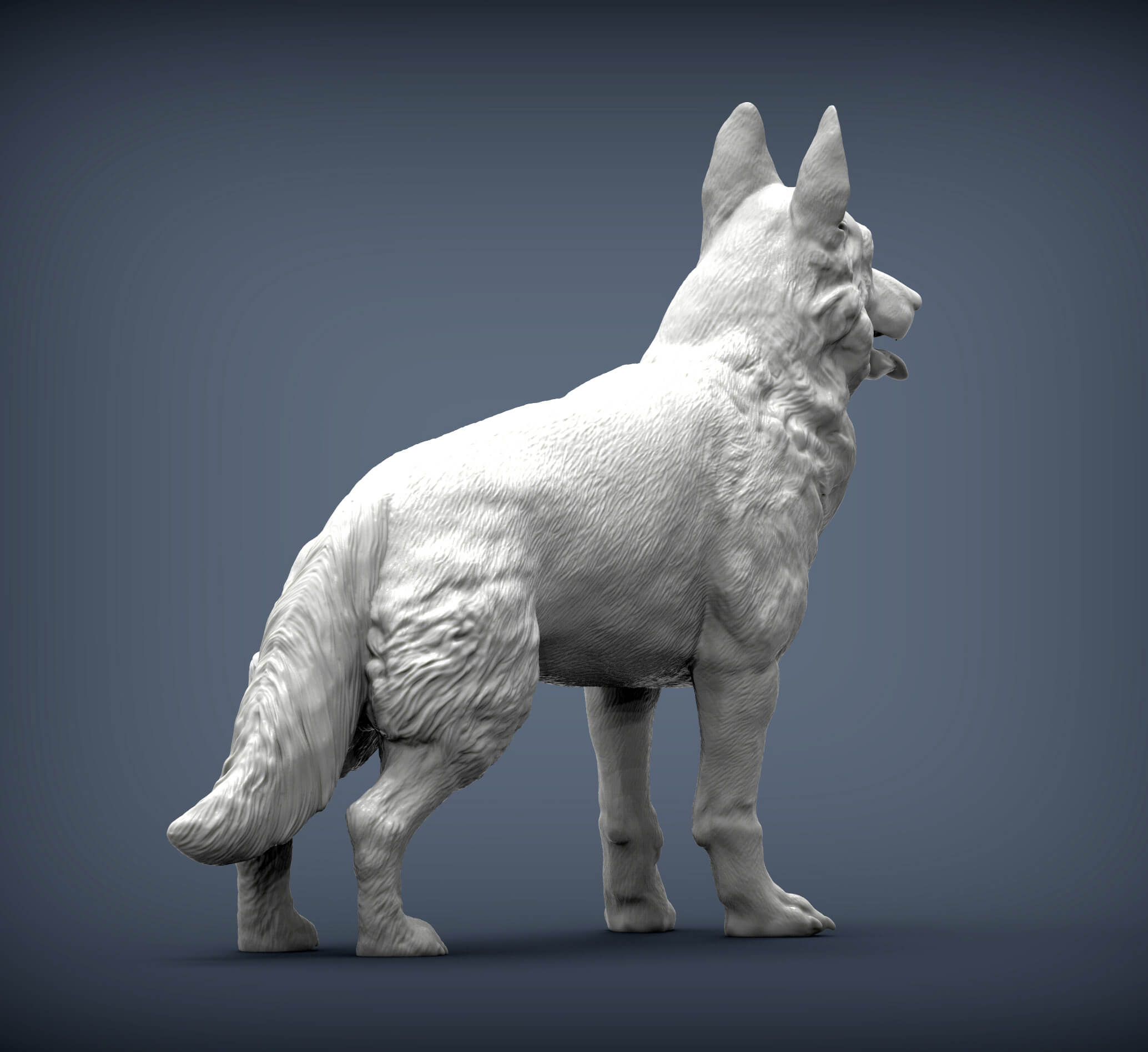 German Shepherd - 3D Model by Alexander3dart