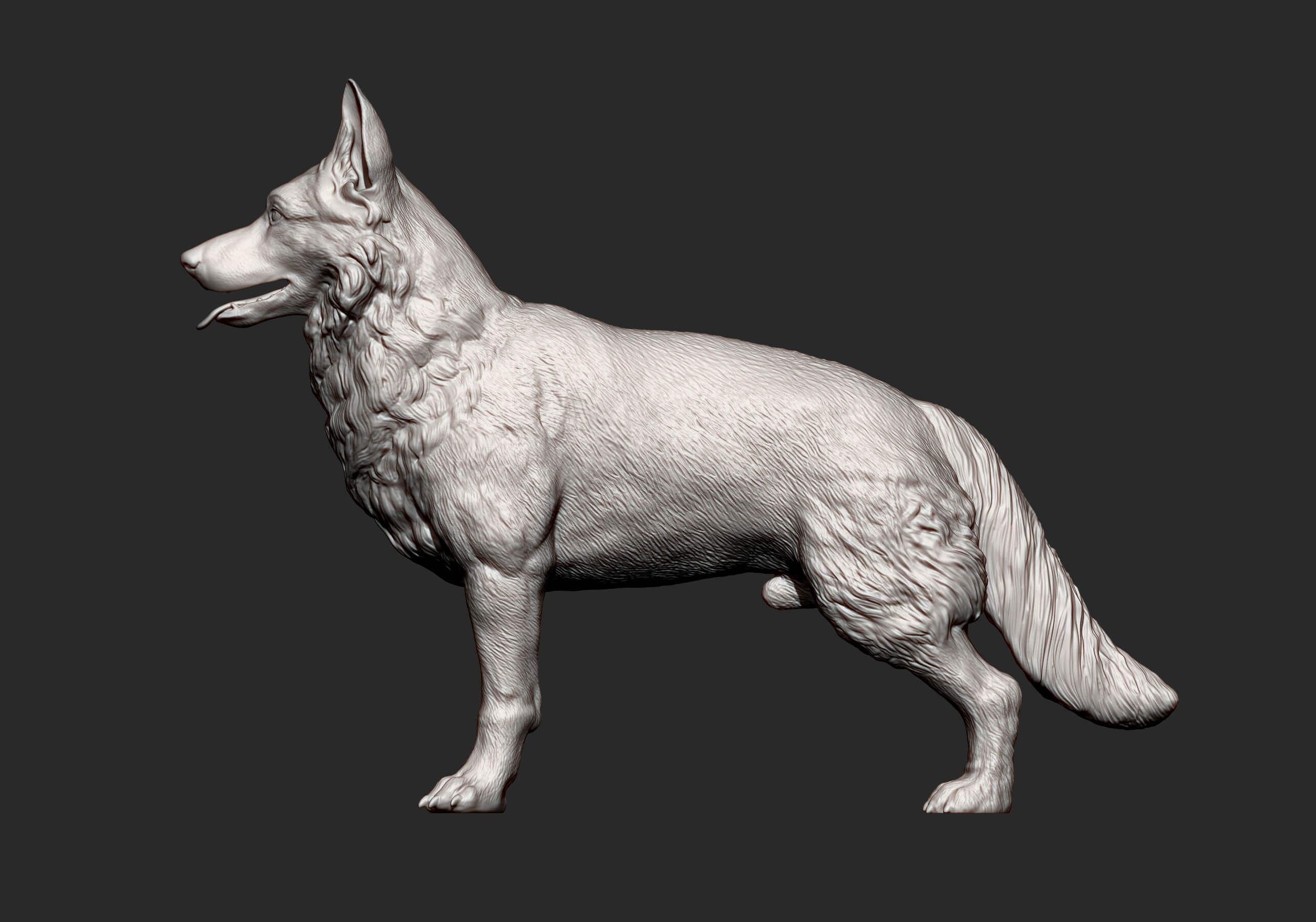German Shepherd - 3D Model by Alexander3dart