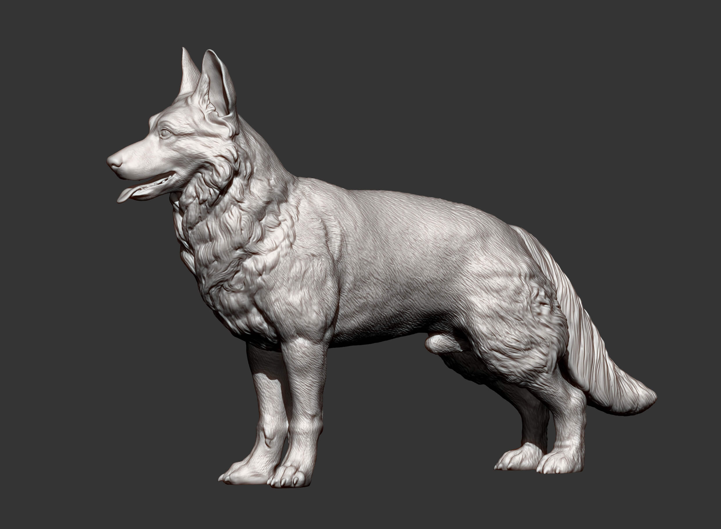 German Shepherd - 3D Model by Alexander3dart
