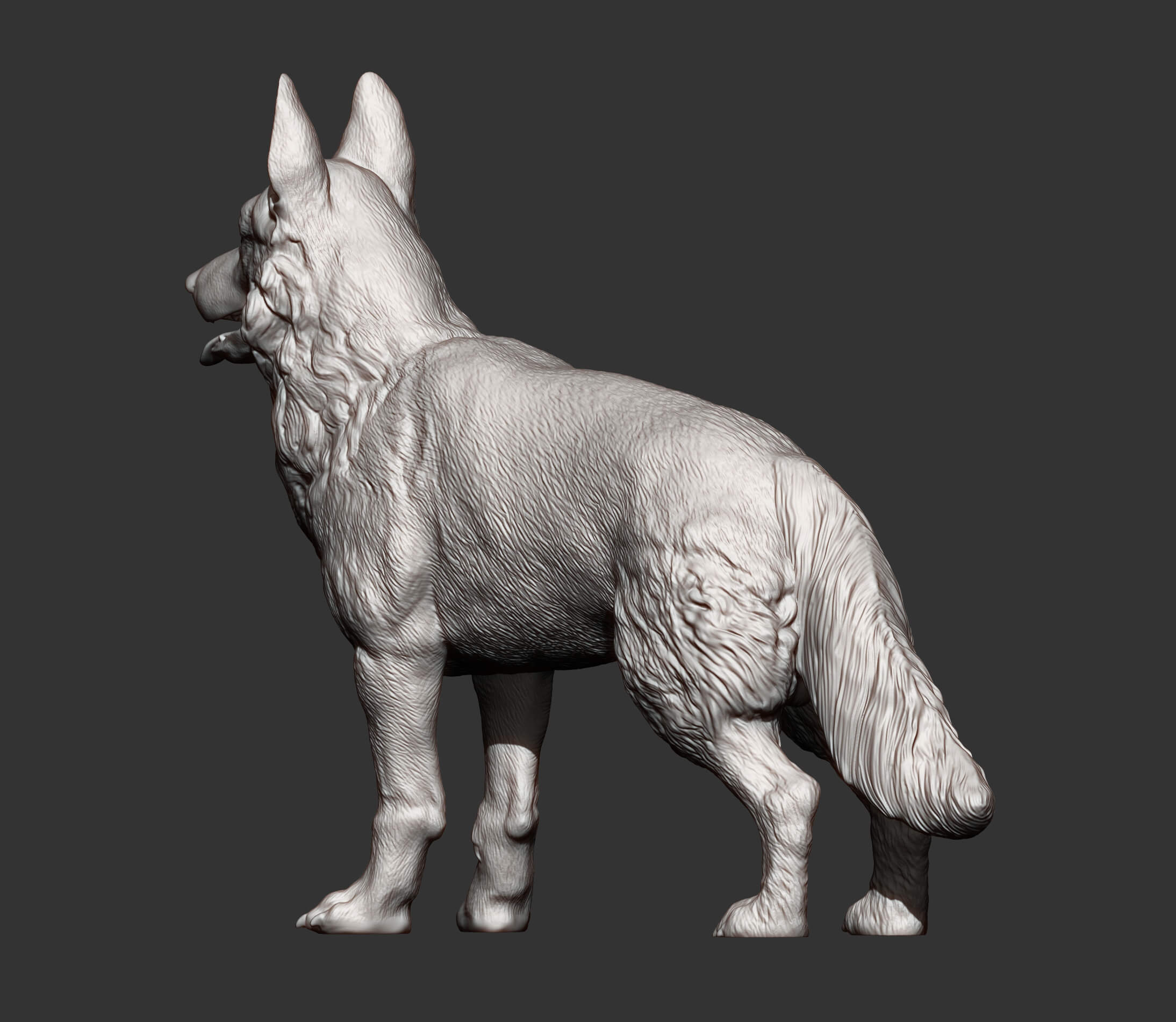 German Shepherd - 3D Model by Alexander3dart