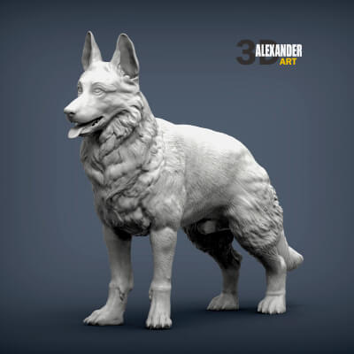German Shepherd - 3D Model by Alexander3dart