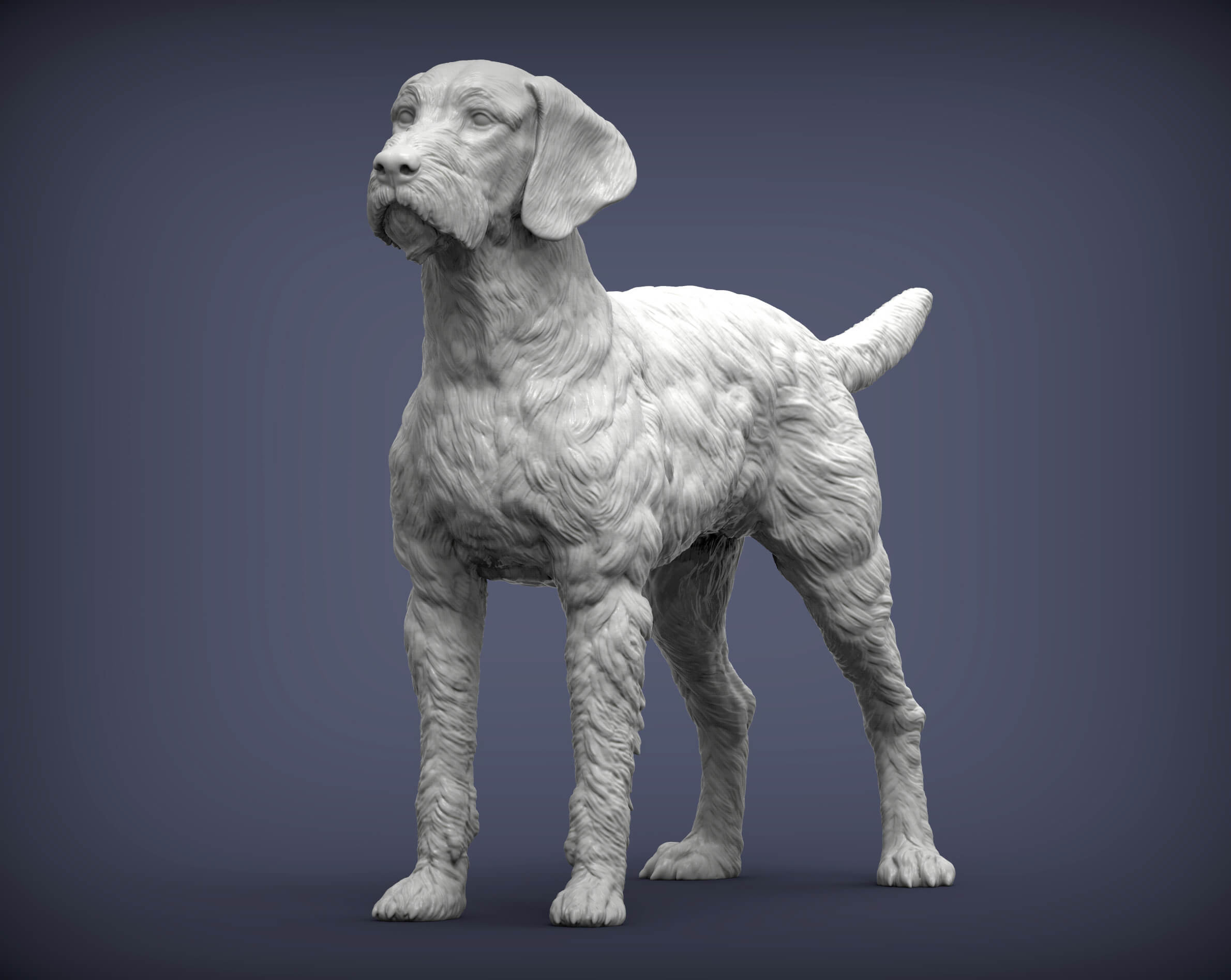 German Wirehaired Pointers 3D Print Model by Alexander3dart