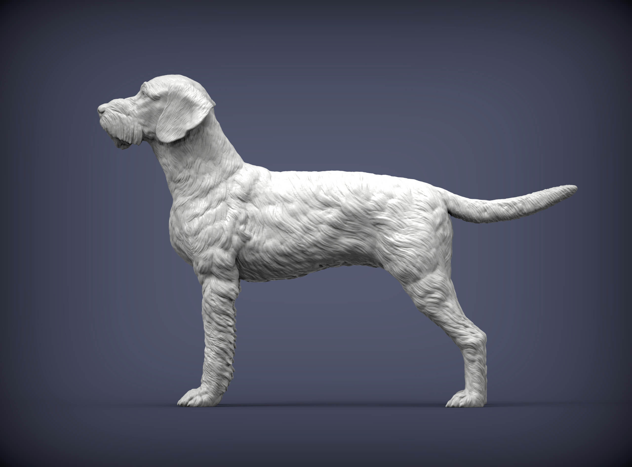 German Wirehaired Pointers 3D Print Model by Alexander3dart