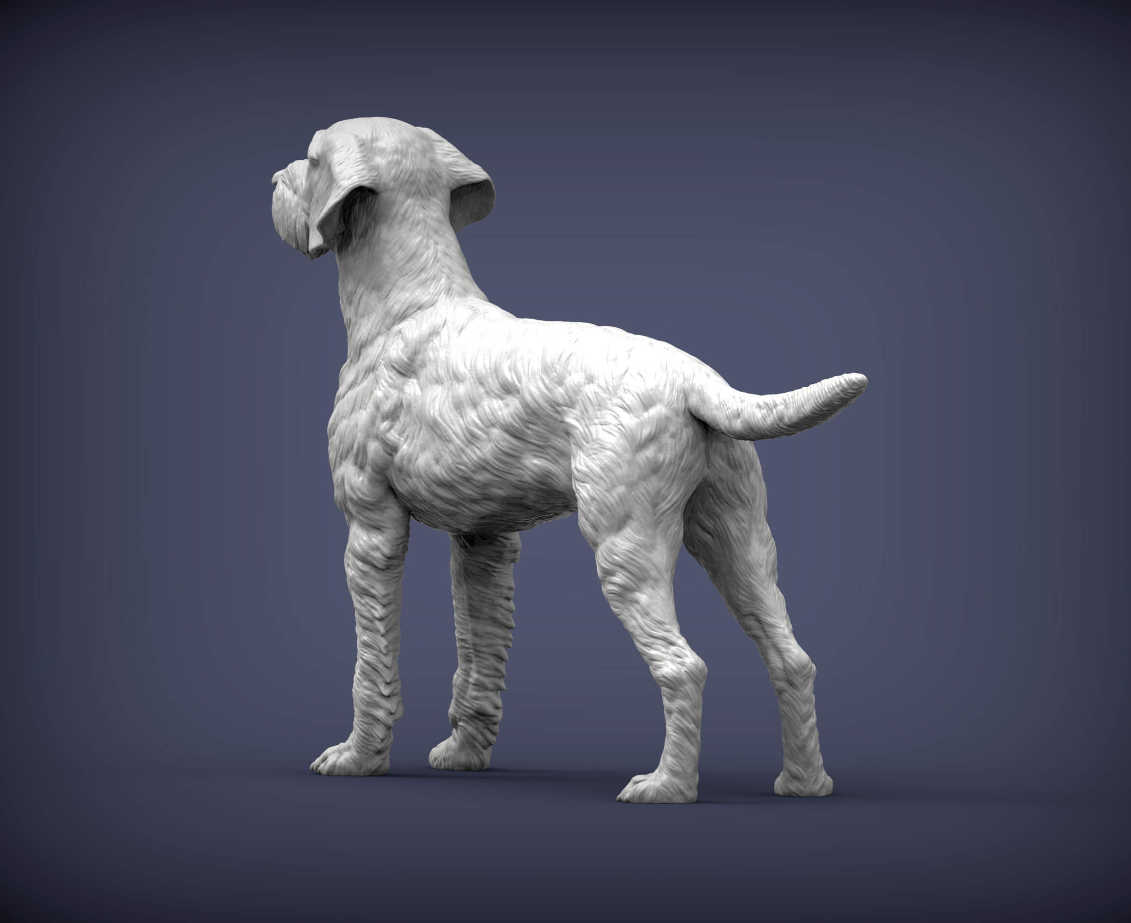 German Wirehaired Pointers 3D Print Model by Alexander3dart