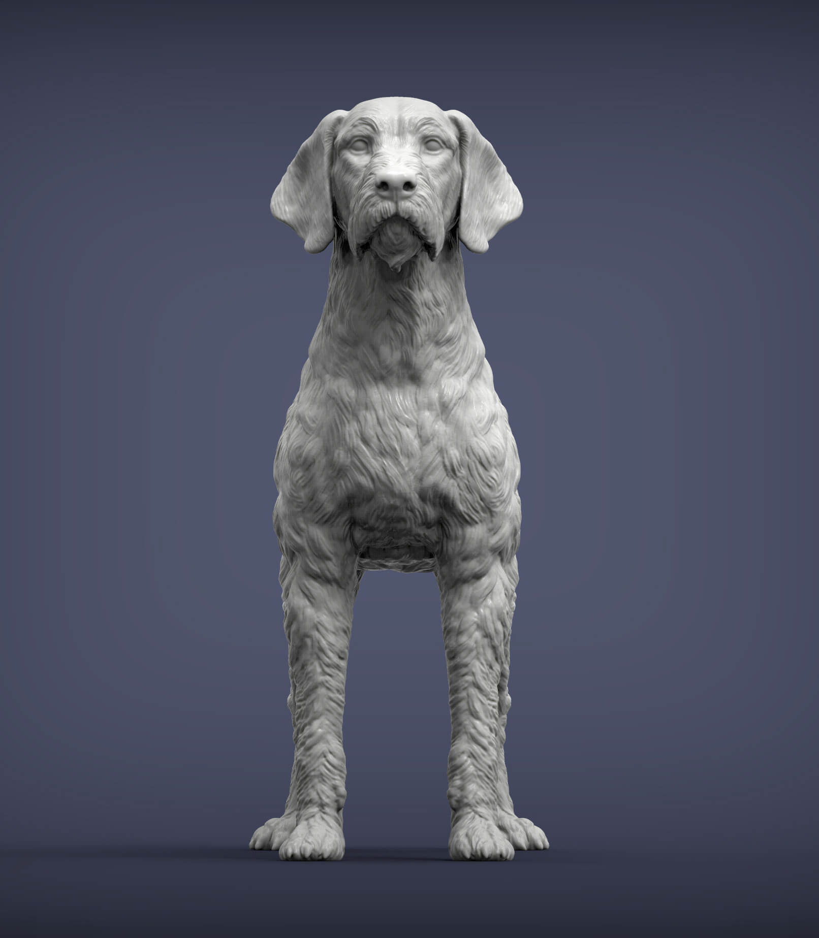 German Wirehaired Pointers 3D Print Model by Alexander3dart