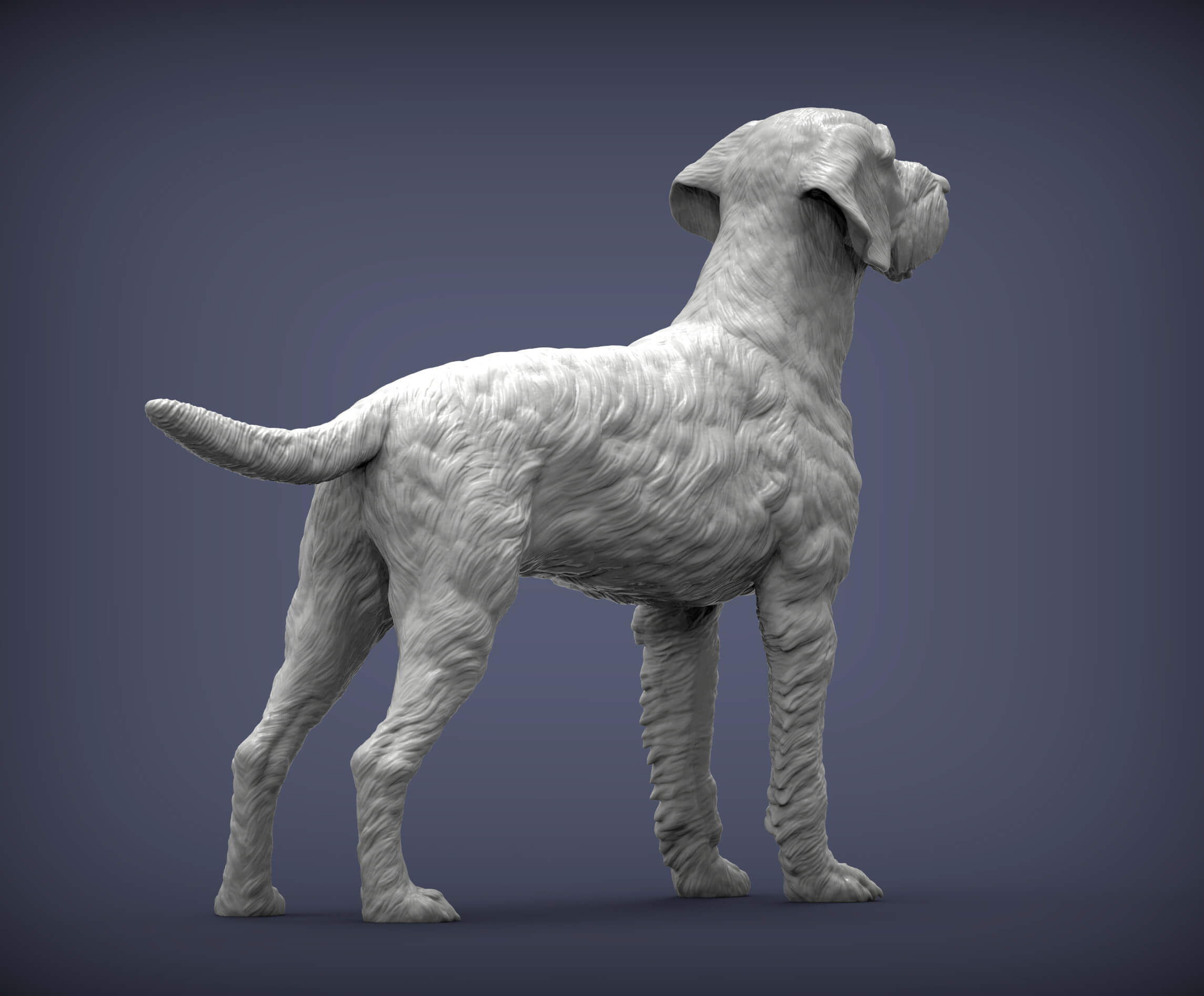 German Wirehaired Pointers 3D Print Model by Alexander3dart