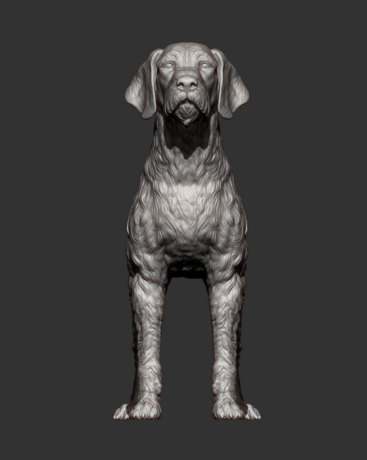 German Wirehaired Pointers 3D Print Model by Alexander3dart