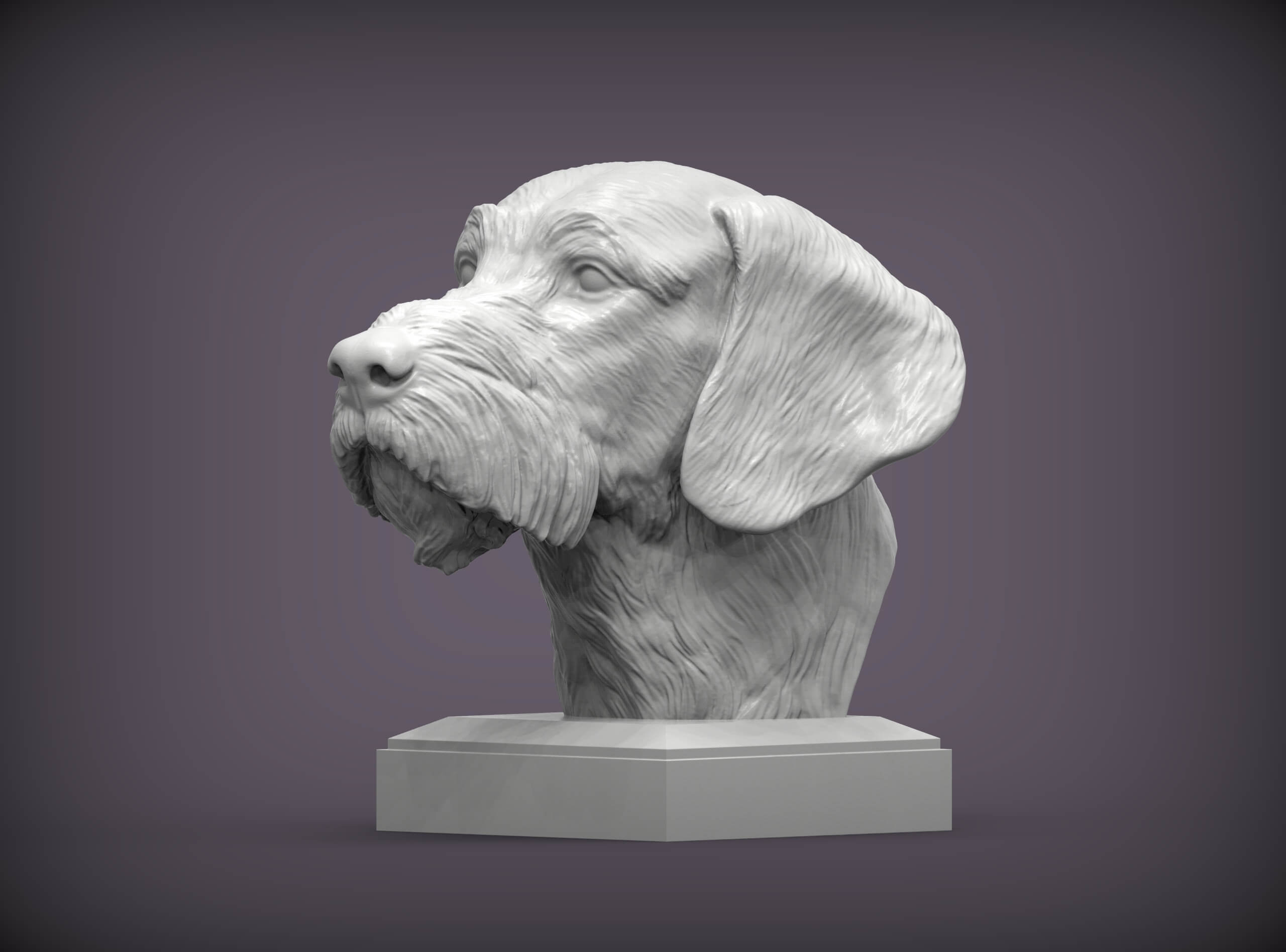 German Wirehaired Pointers Bust 3D Print Model by Alexander3dart