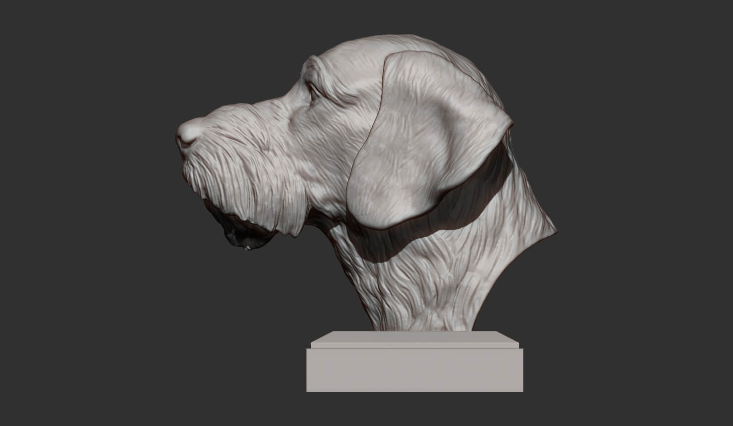 German Wirehaired Pointers Bust 3D Print Model by Alexander3dart