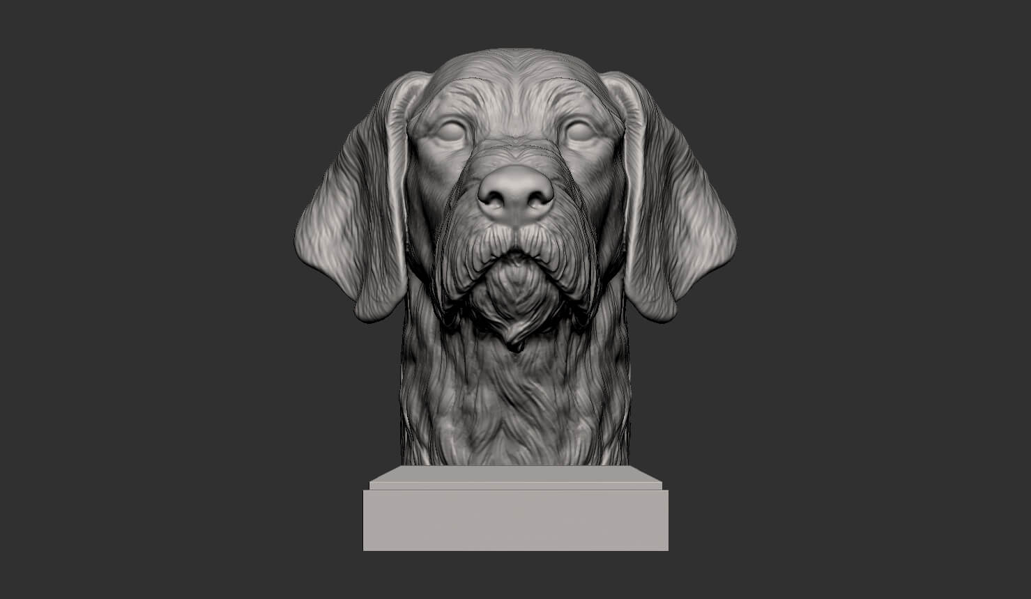 German Wirehaired Pointers Bust 3D Print Model by Alexander3dart