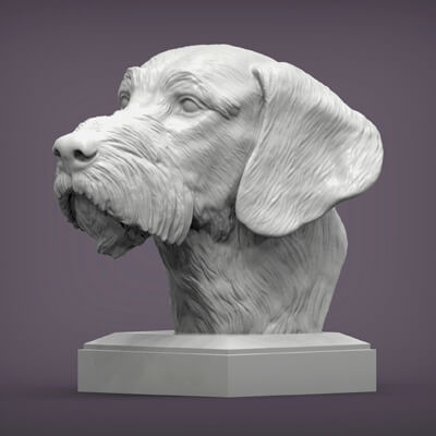 German Wirehaired Pointers Bust 3D Print Model by Alexander3dart