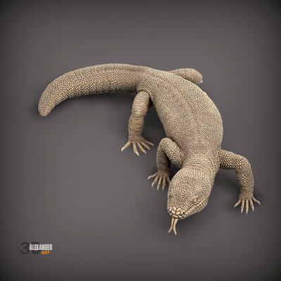 Gila Monster - 3D Model by Alexander3dart