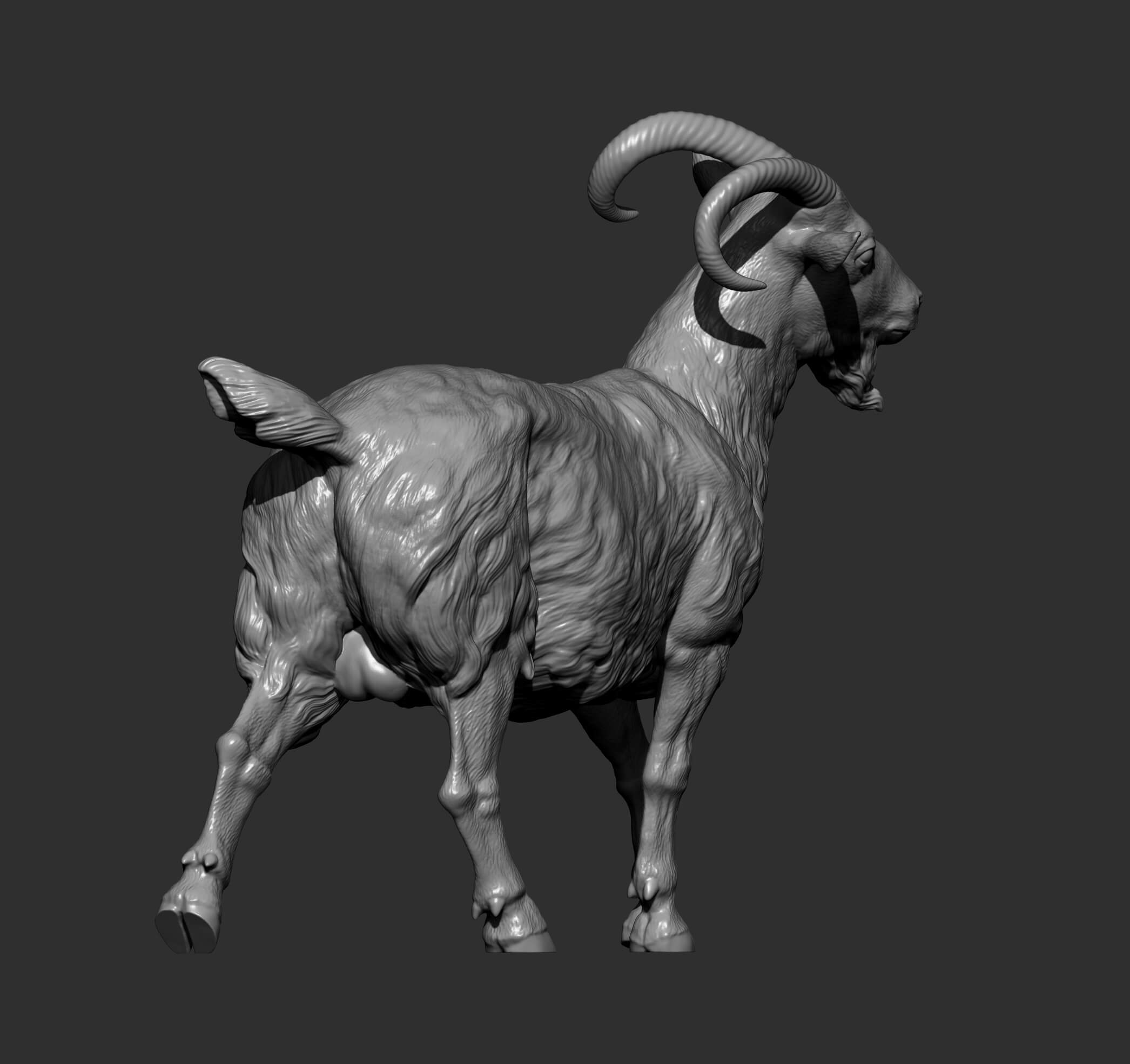 Goat 3D Print Model by Alexander3dart