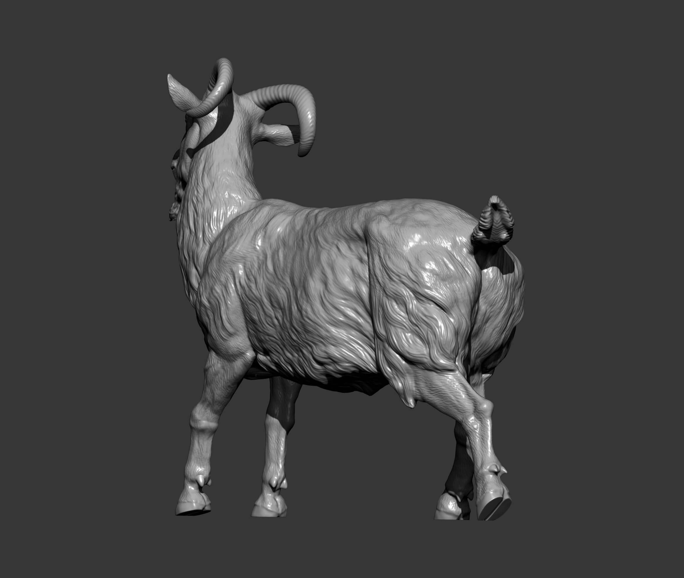 Goat 3D Print Model by Alexander3dart