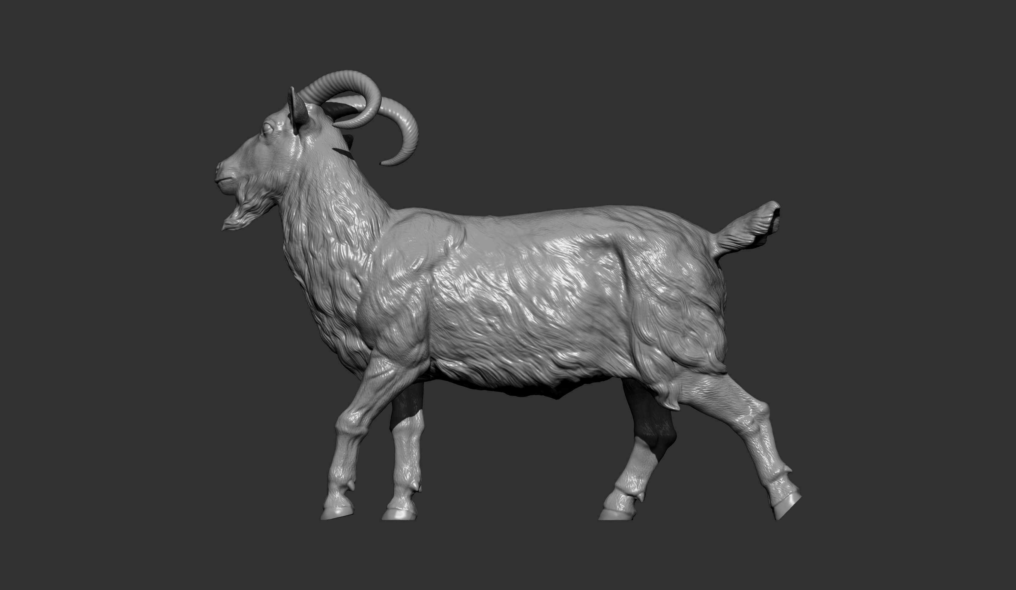 Goat 3D Print Model by Alexander3dart