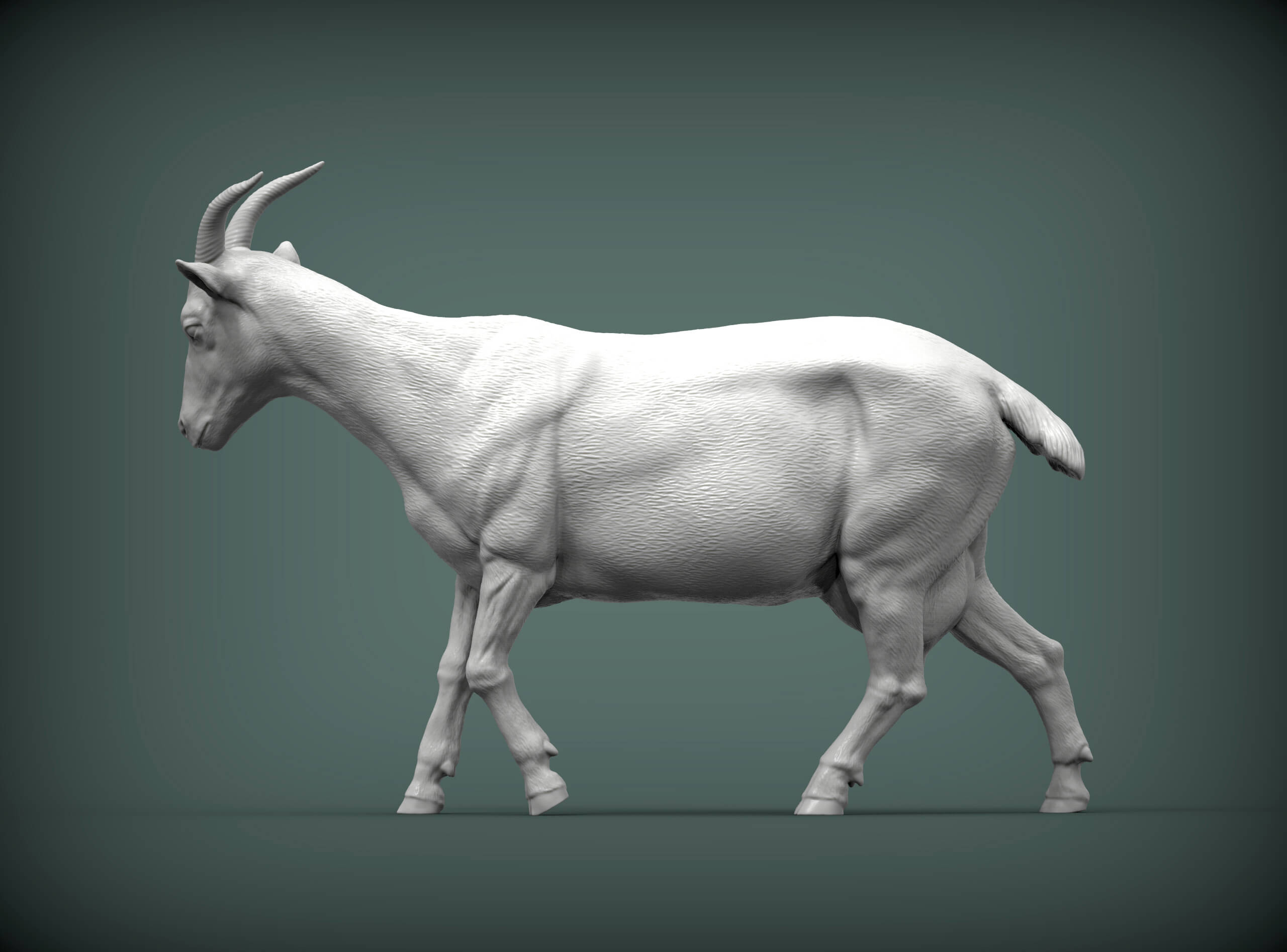 Goat 3D Print Model by Alexander3dart