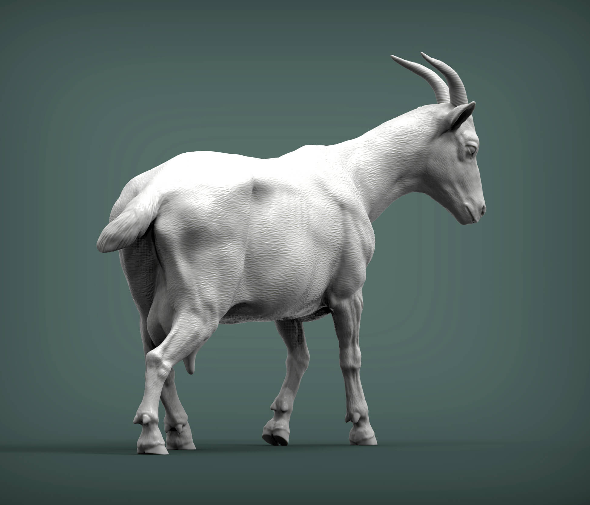 Goat 3D Print Model by Alexander3dart