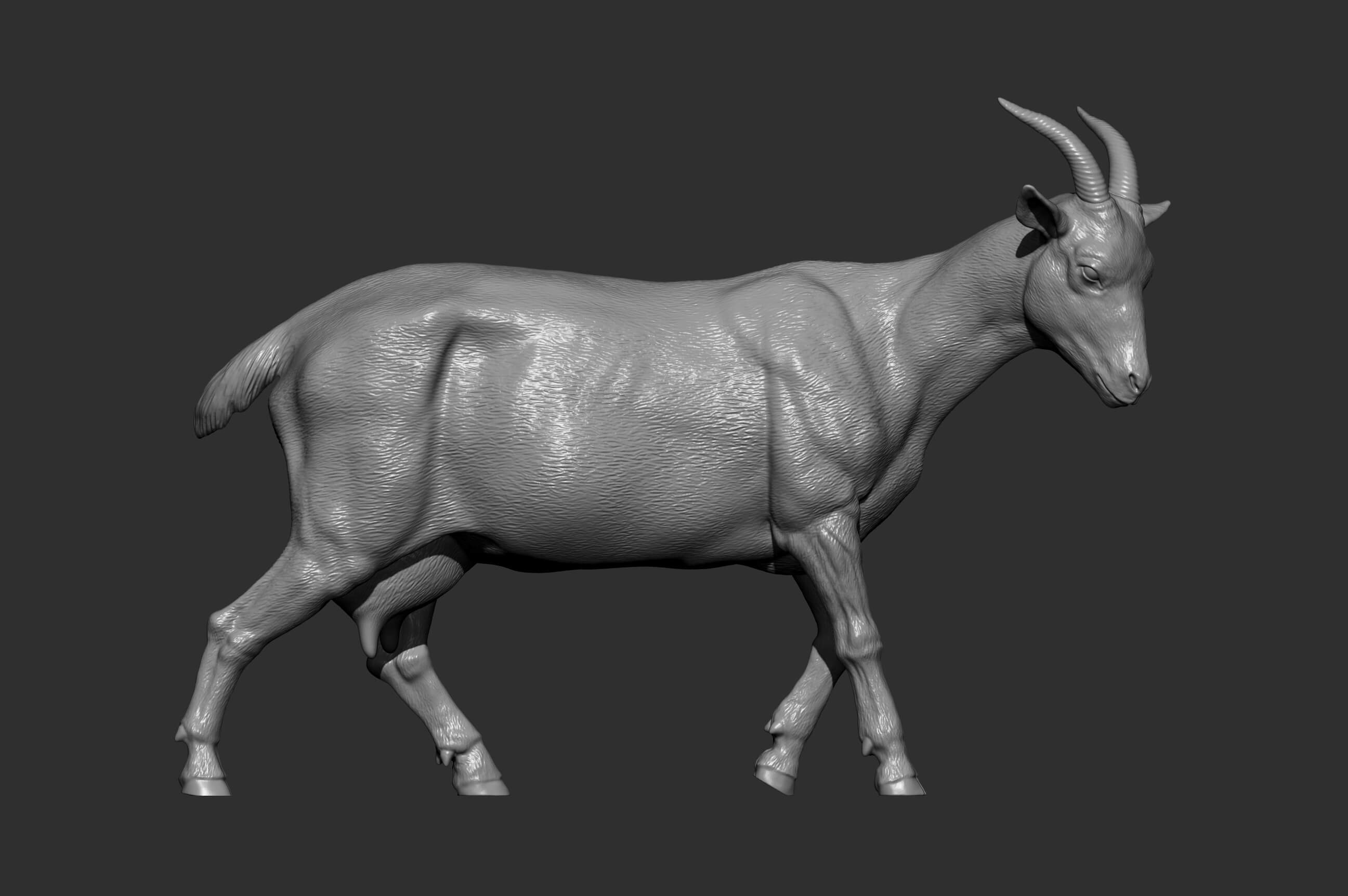 Goat 3D Print Model by Alexander3dart