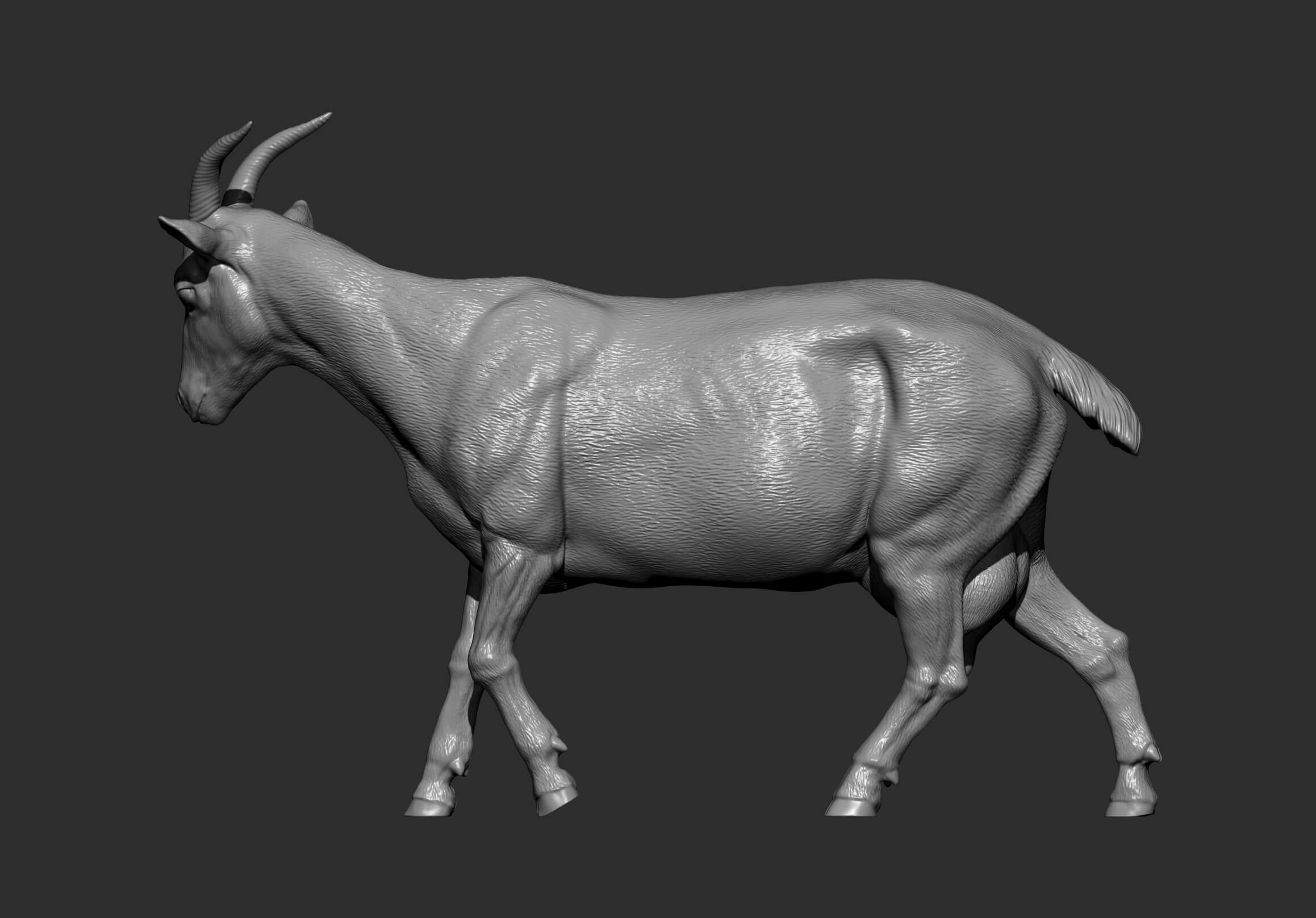 Goat 3D Print Model by Alexander3dart