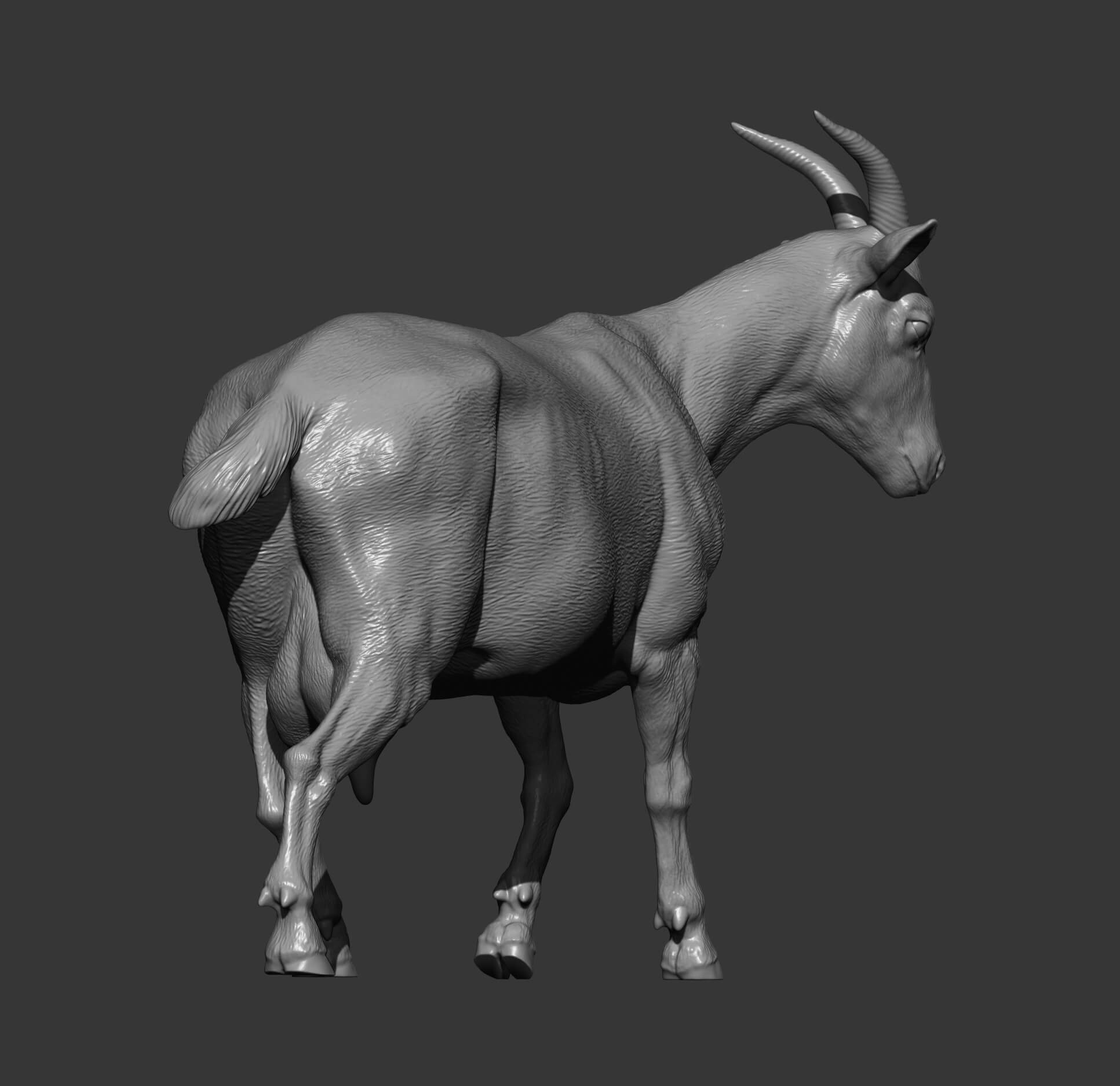 Goat 3D Print Model by Alexander3dart