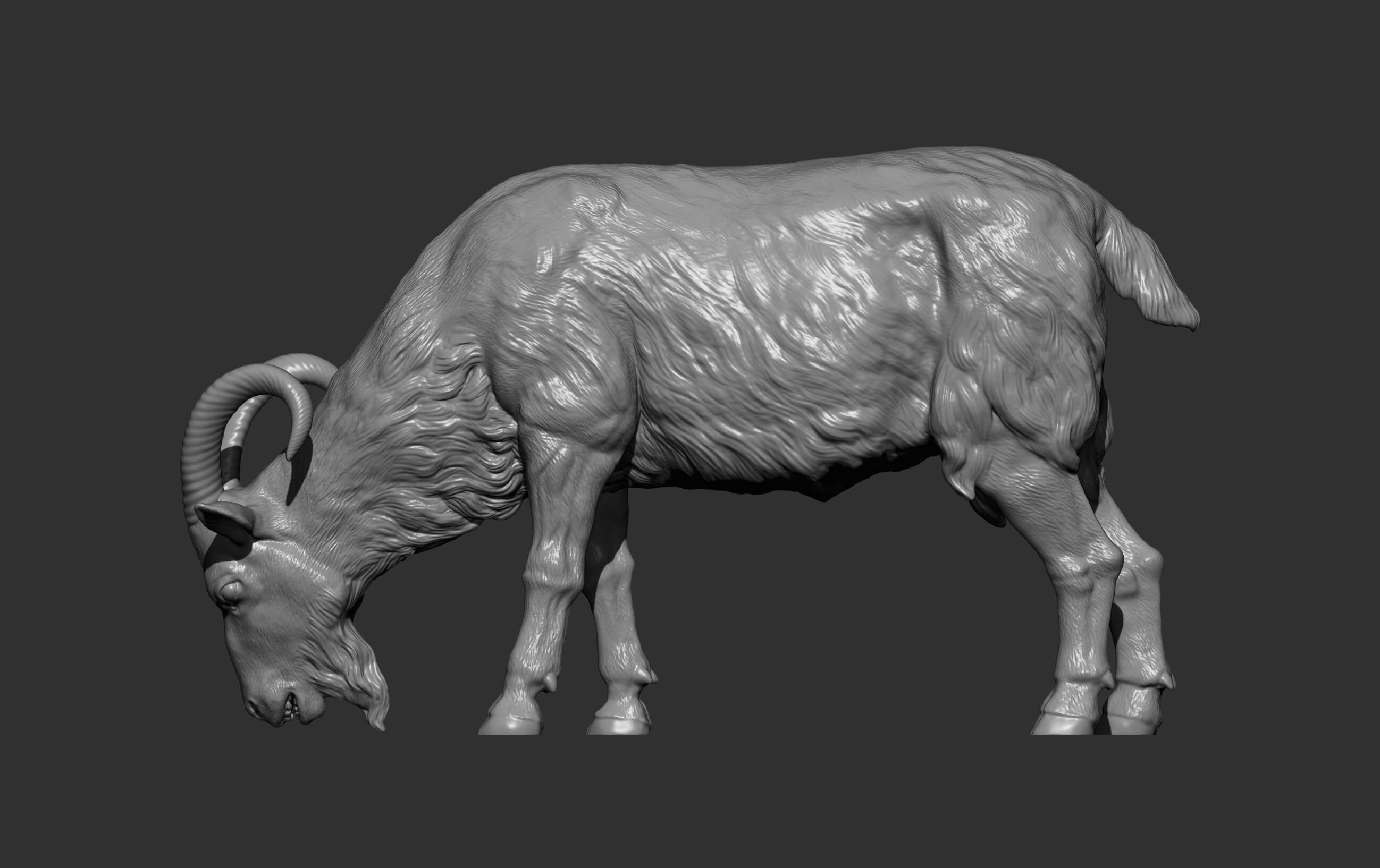 Goat Eats 3D Print Model by Alexander3dart