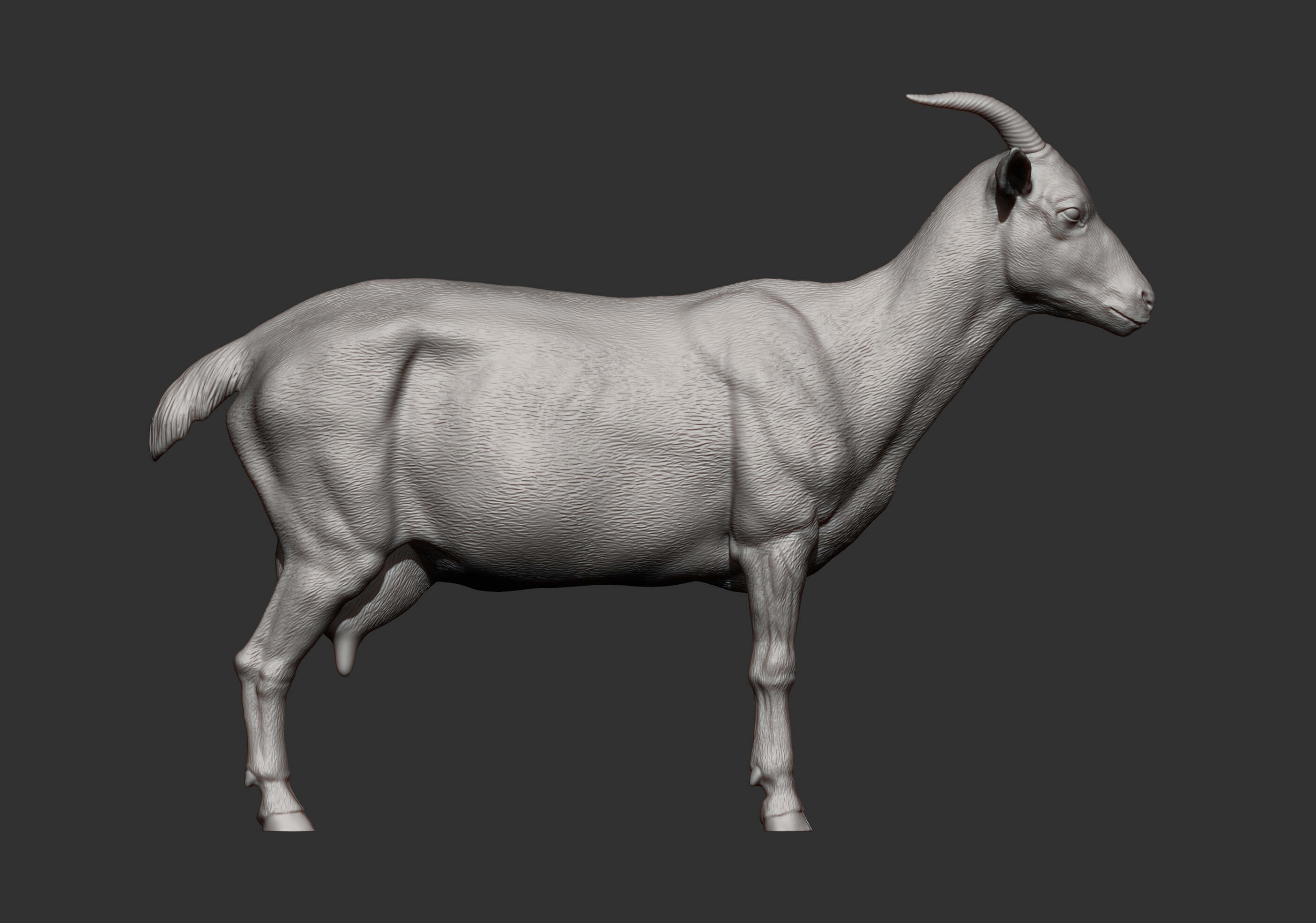 Goat Sculpture - 3D Model by Alexander3dart