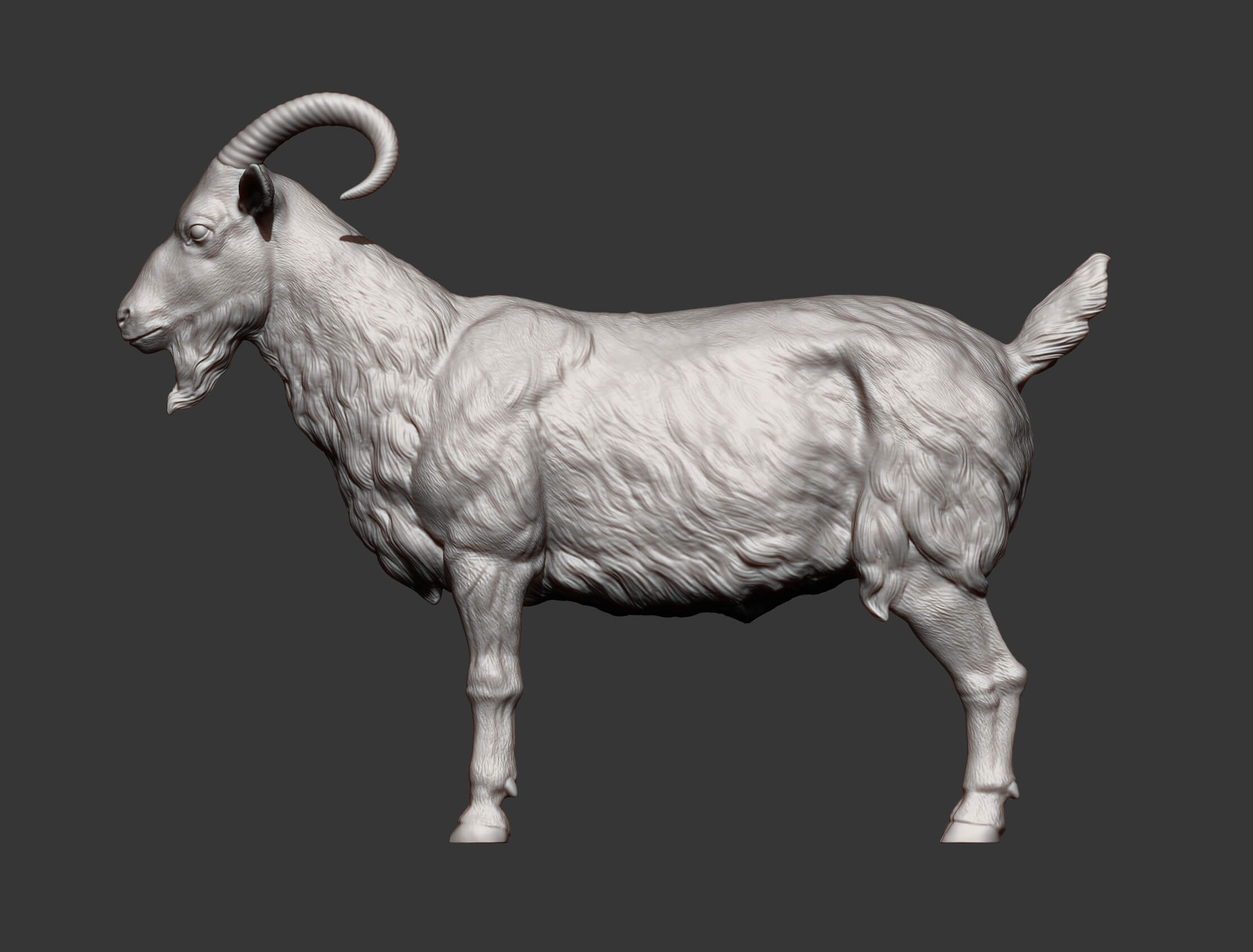 Goat Sculpture - 3D Model by Alexander3dart
