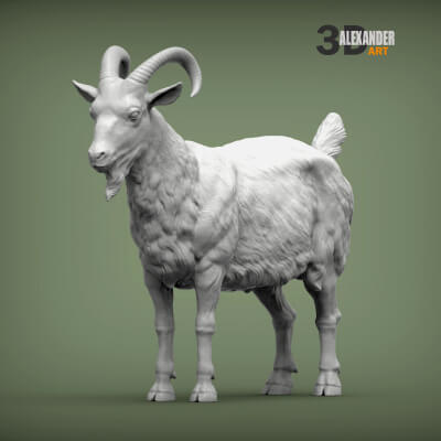 Goat Sculpture - 3D Model by Alexander3dart