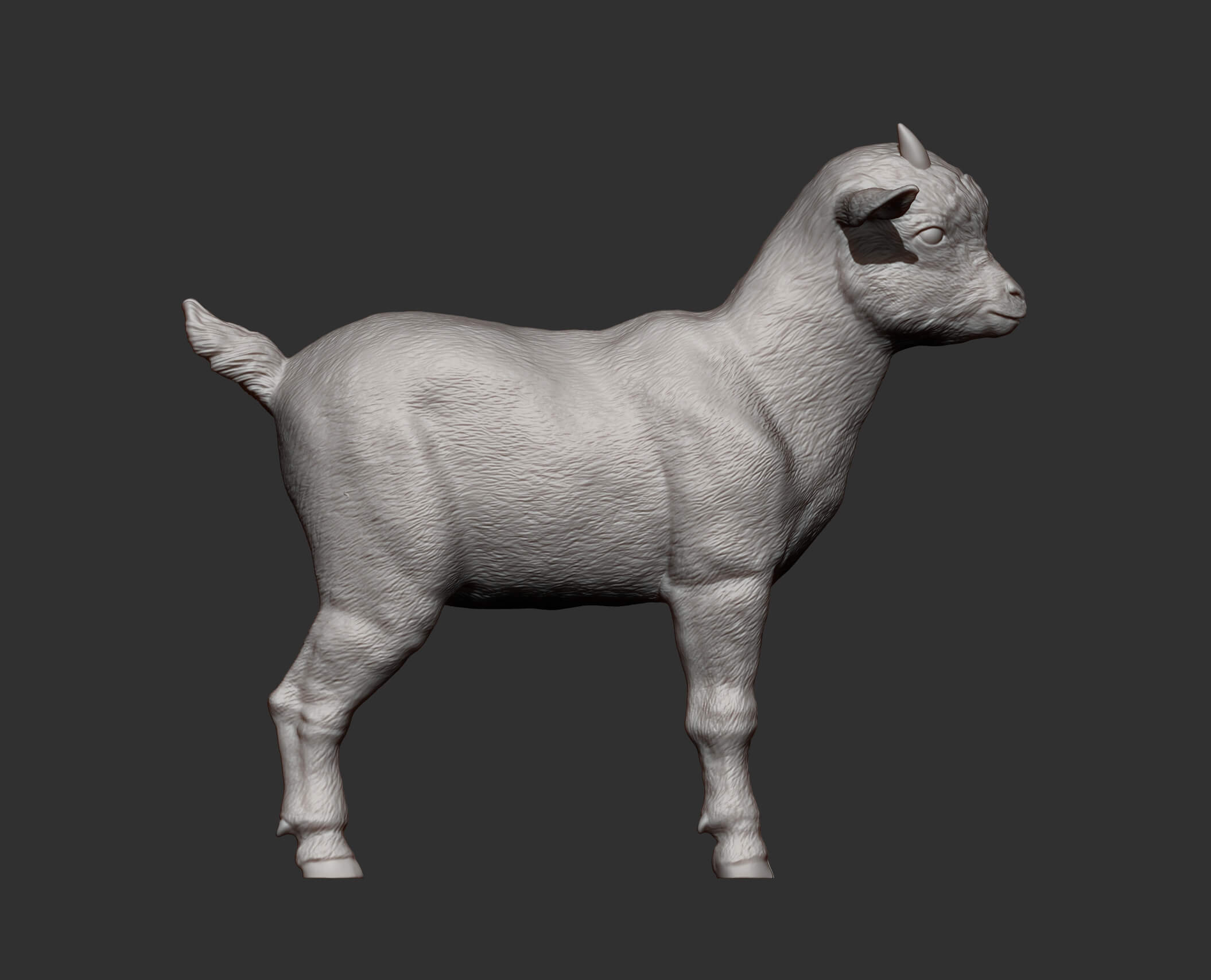 Goatling Sculpture - 3D Model by Alexander3dart