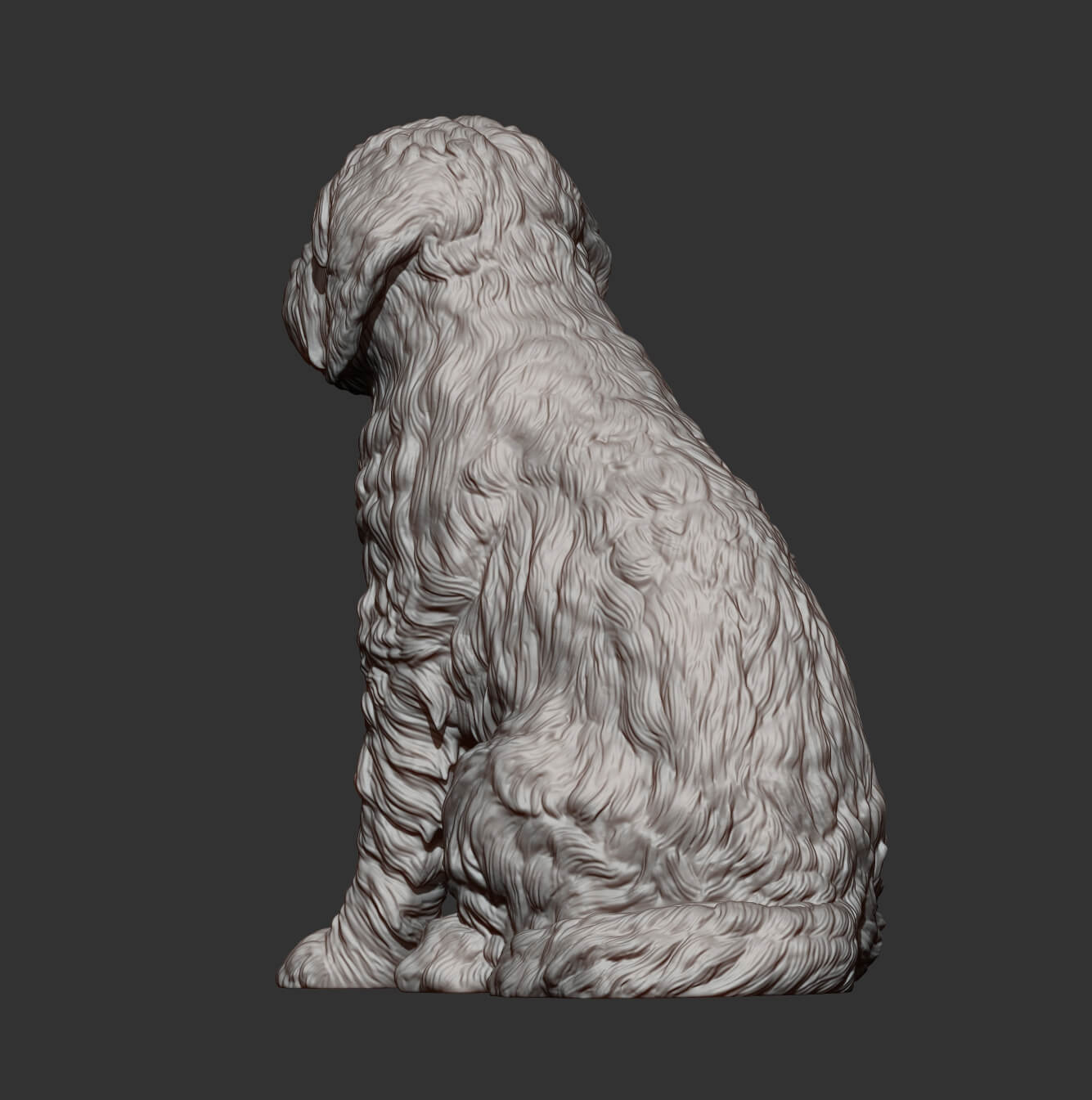 Golden Doodle - 3D Model by Alexander3dart