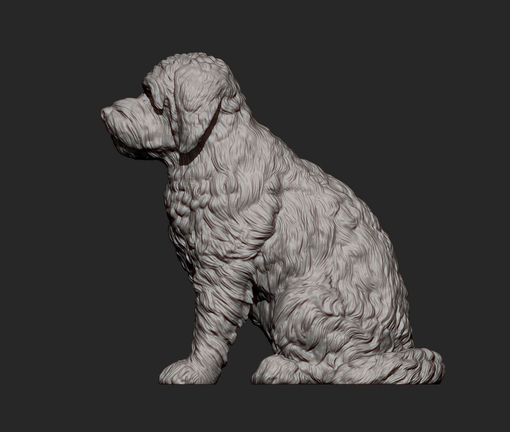 Golden Doodle - 3D Model by Alexander3dart