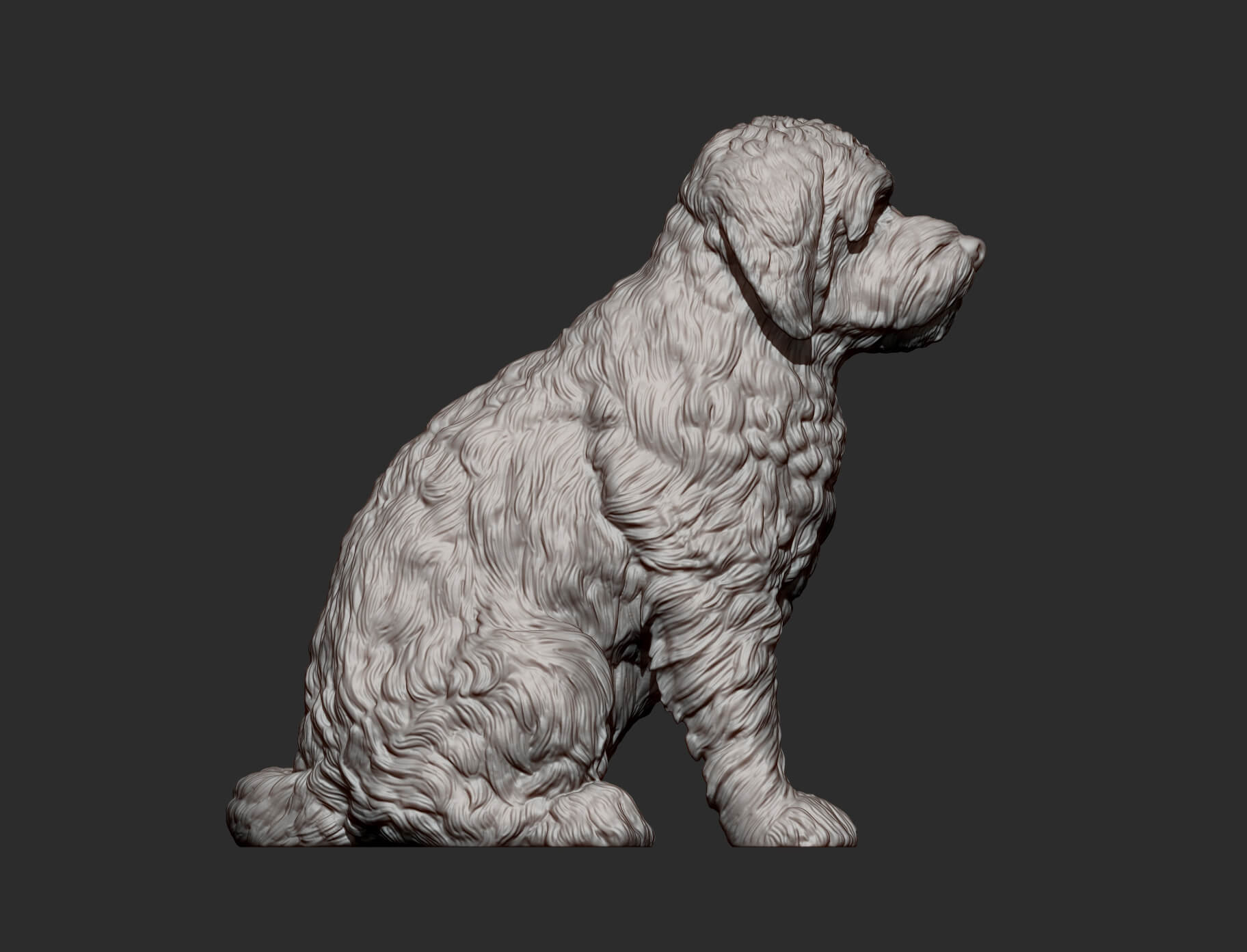 Golden Doodle - 3D Model by Alexander3dart