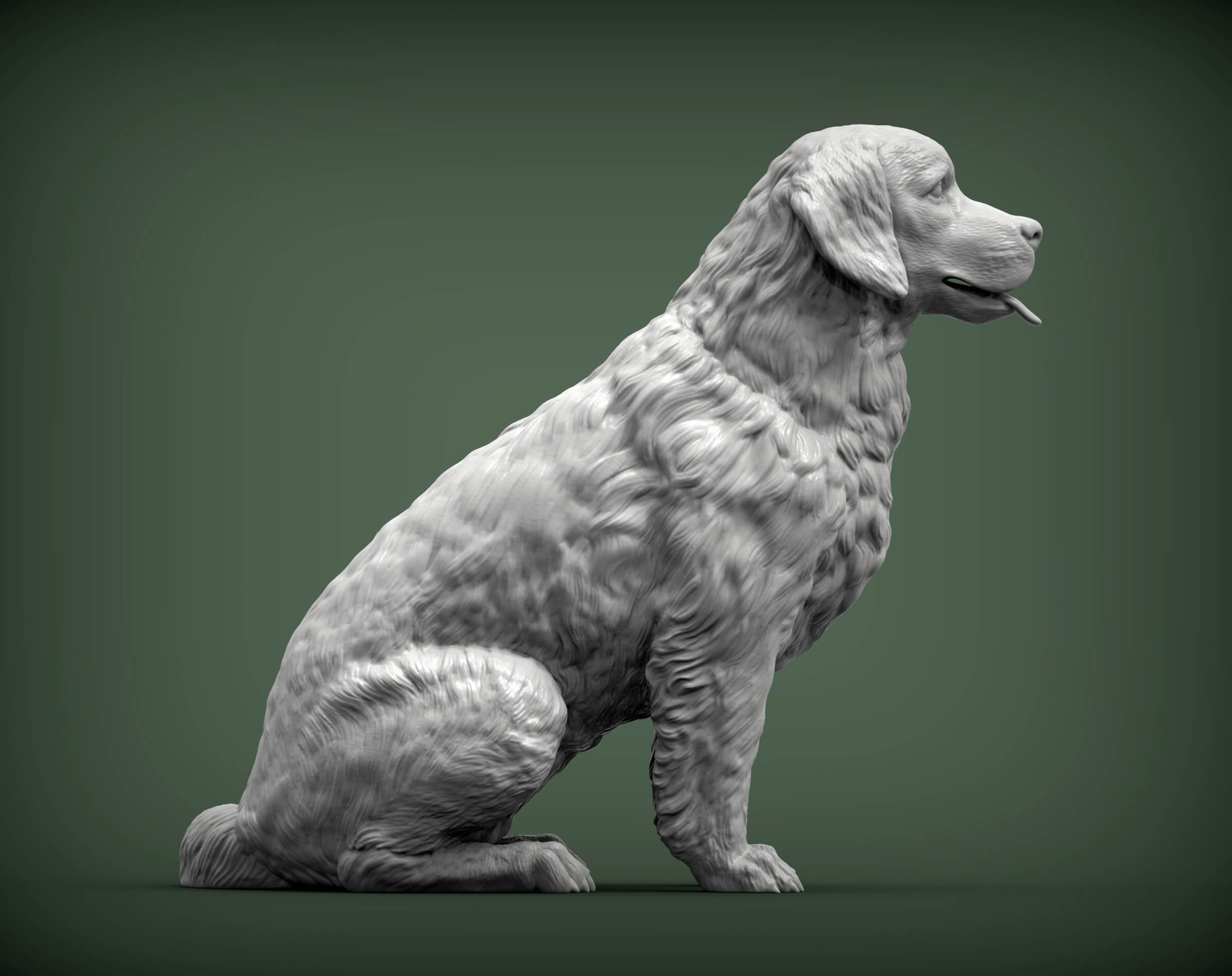 Golden Retriever Sitting - 3D Model by Alexander3dart