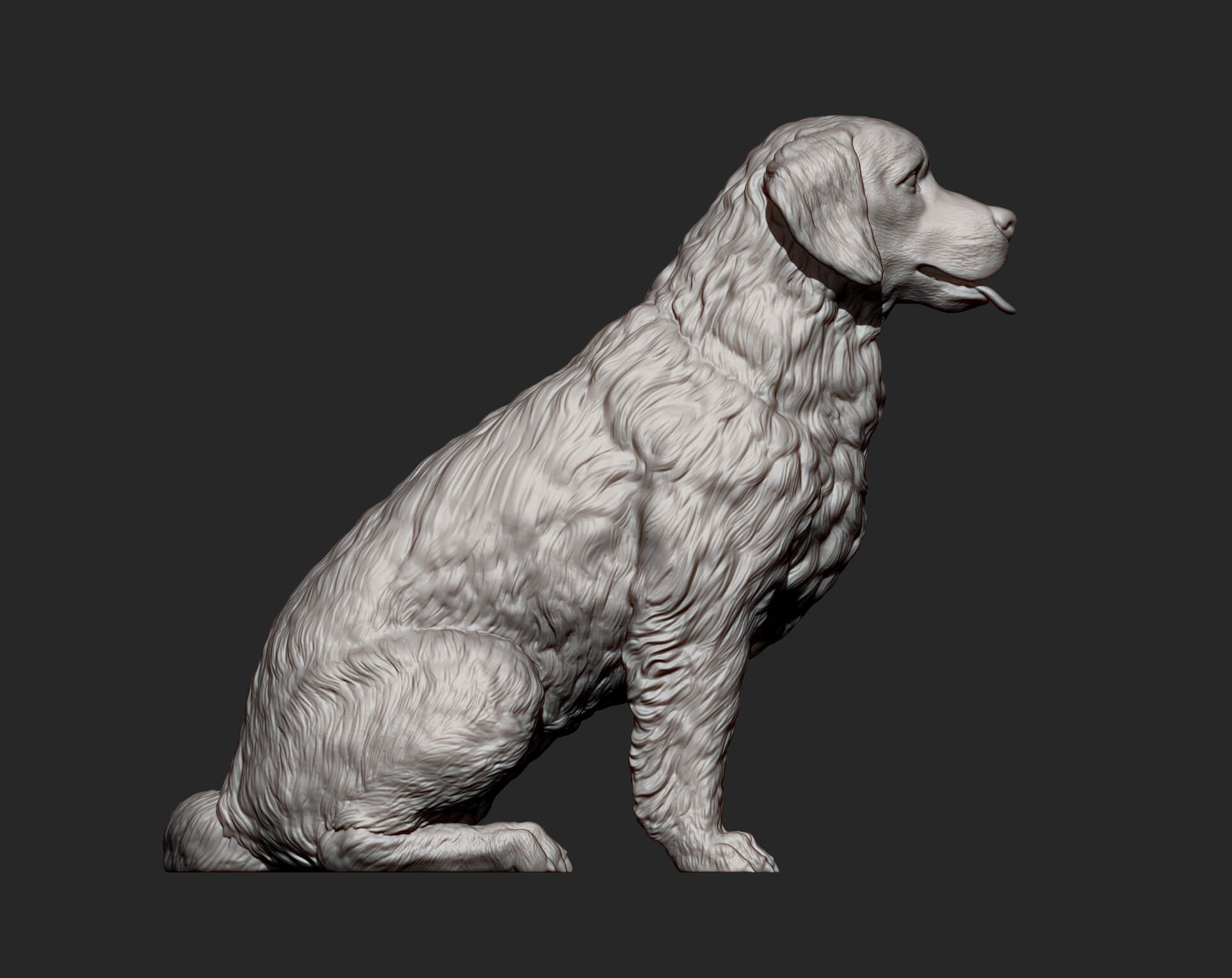 Golden Retriever Sitting - 3D Model by Alexander3dart
